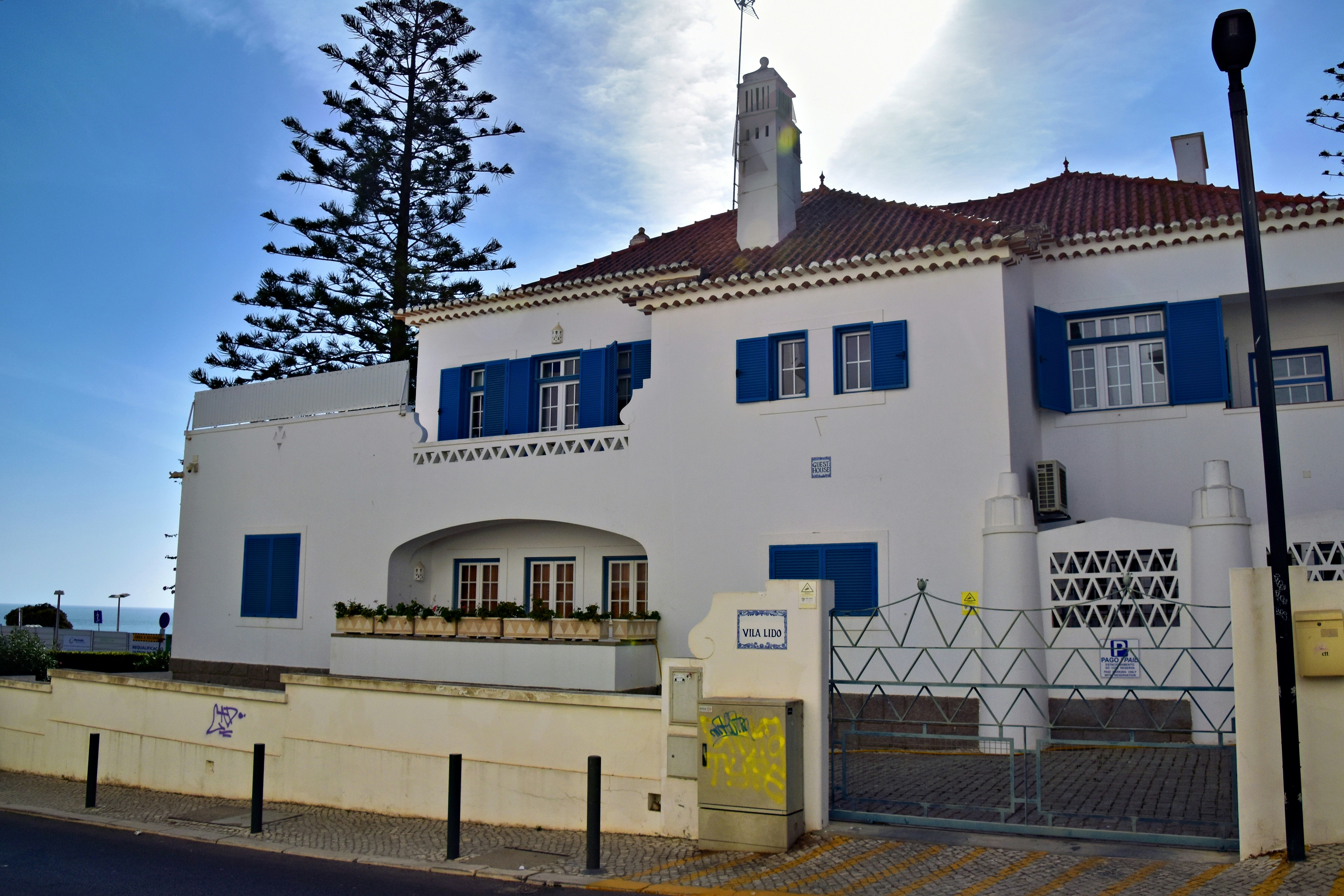 Photo by Jeffrey Eisen with Nikon D5600