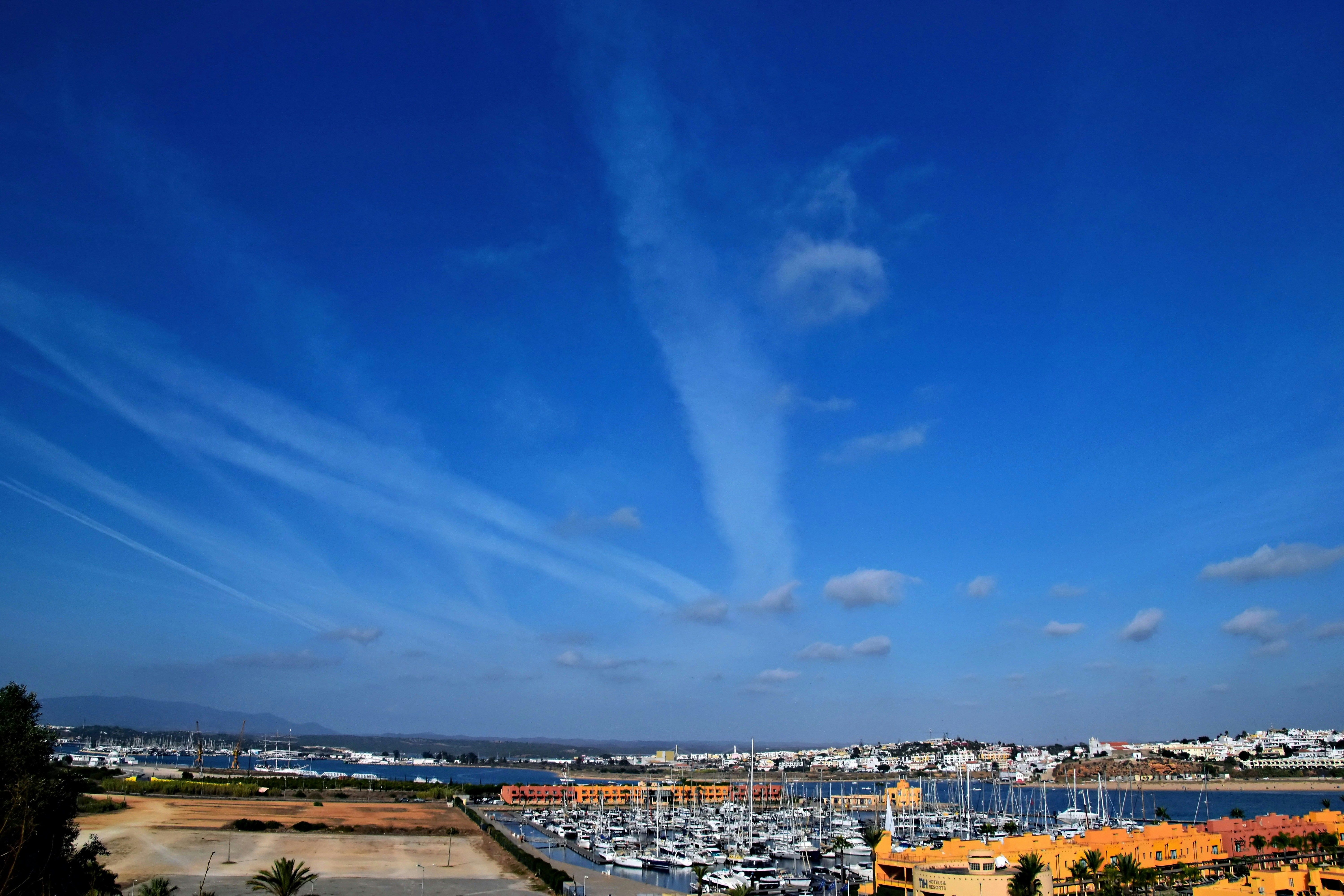 Photo by Jeffrey Eisen with Nikon D5600