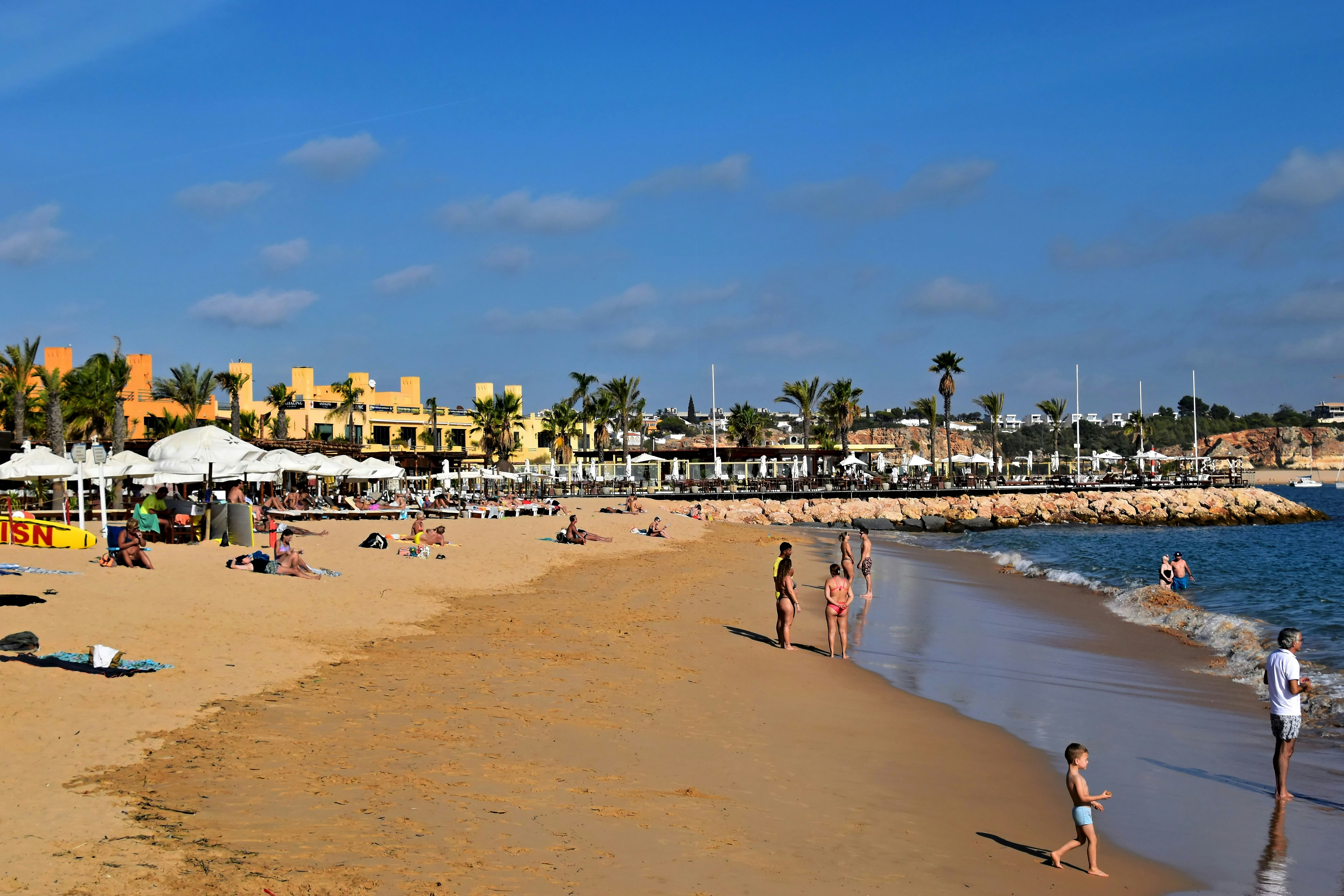 Photo by Jeffrey Eisen with Nikon D5600