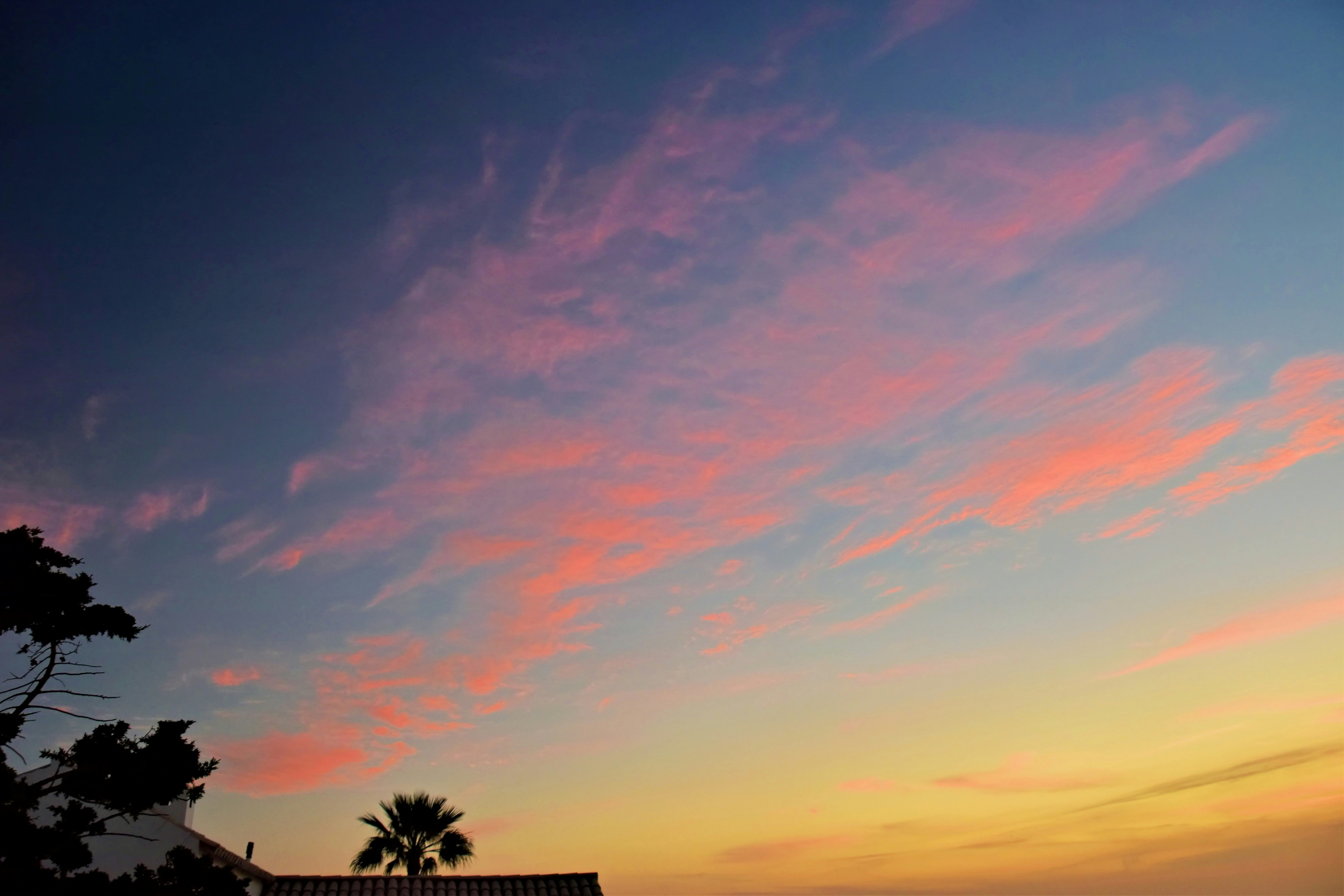 Pink clouds streak across a twilight sky. photo – Free Sunset Image on ...