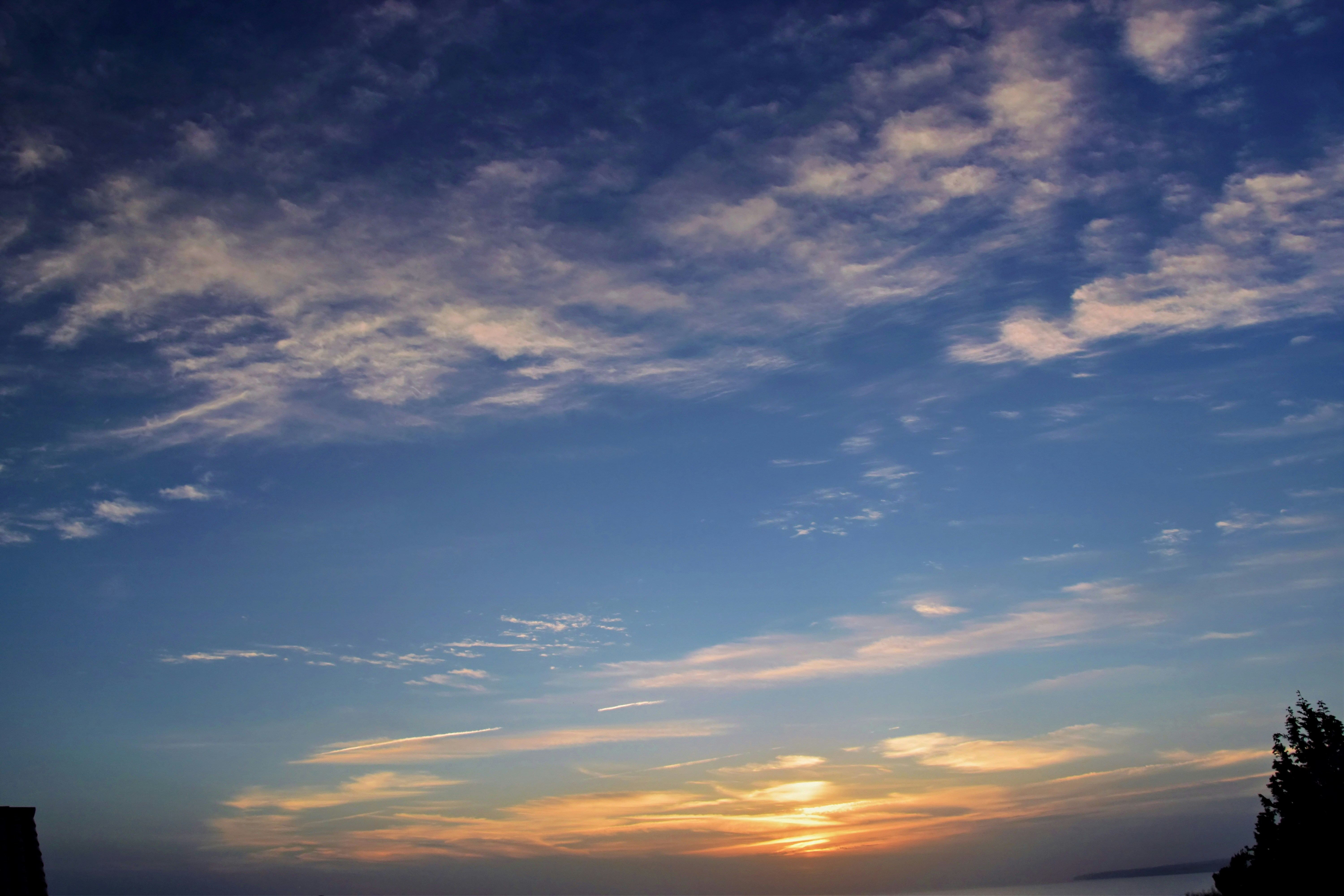 Photo by Jeffrey Eisen with Nikon D5600