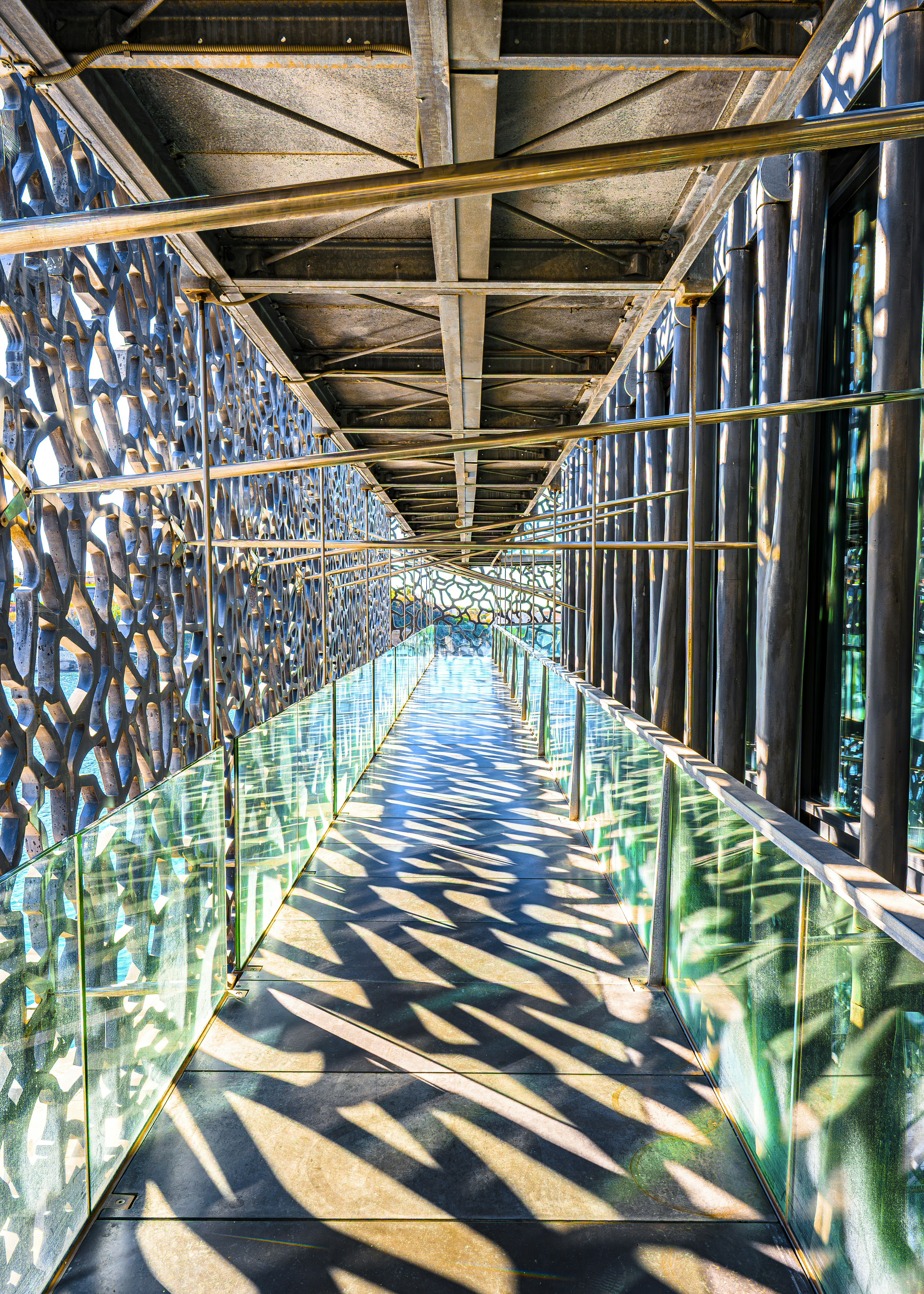 Photo by Philippe BONTEMPS with Nikon Z6 III