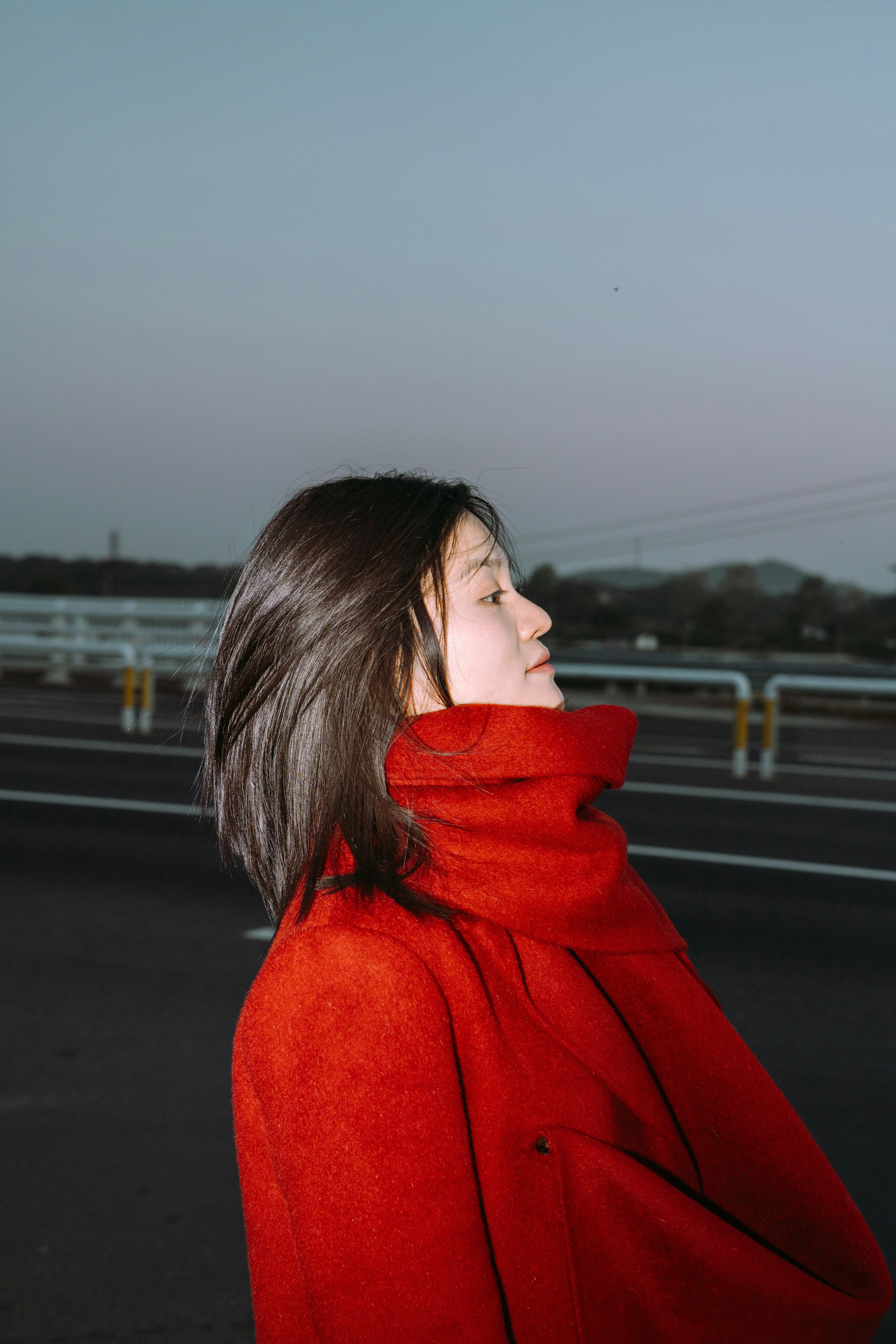 Scarlet on the Quiet Highway: A Profile at Dusk