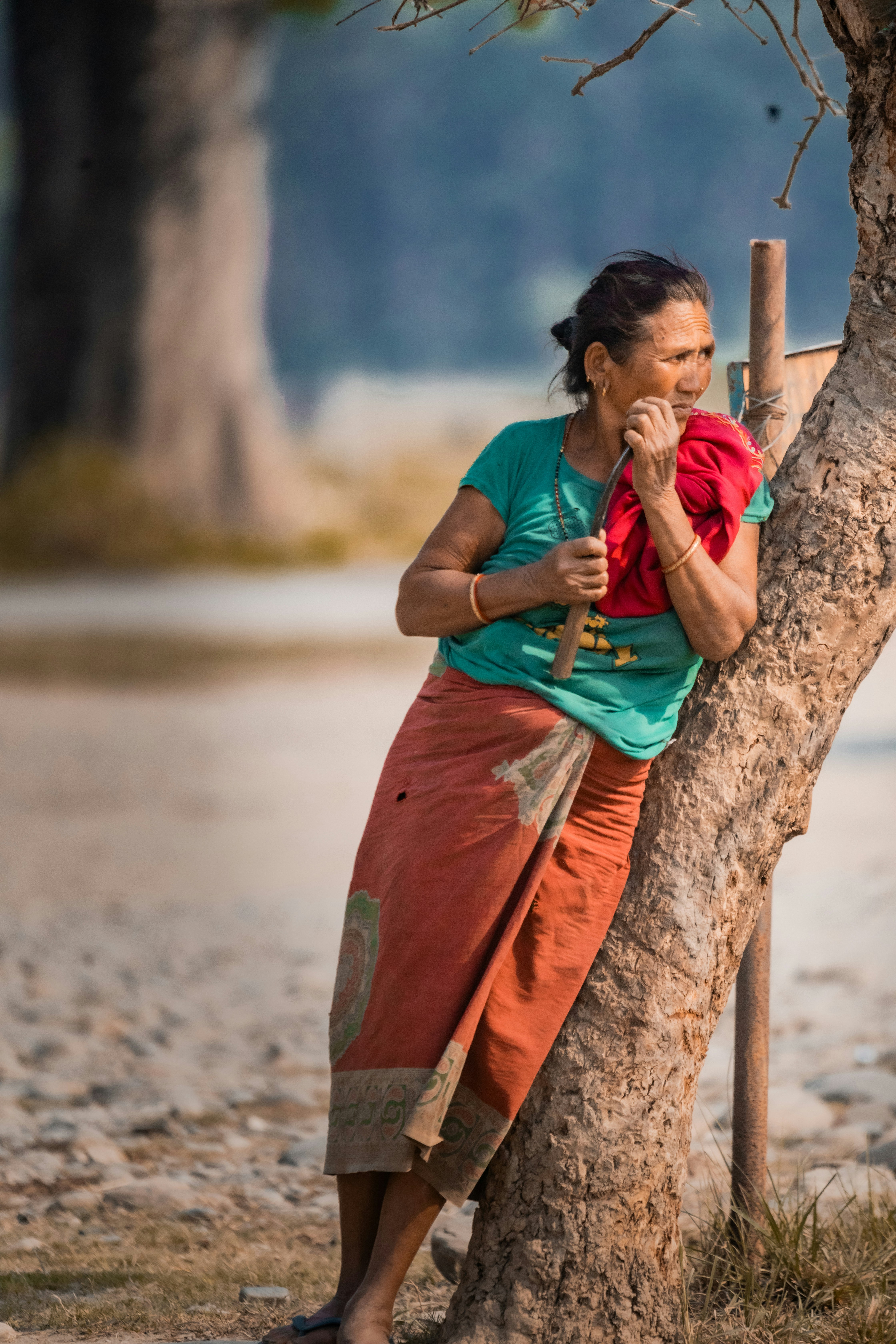 Holding Ground: A Quiet Moment by the Tree
