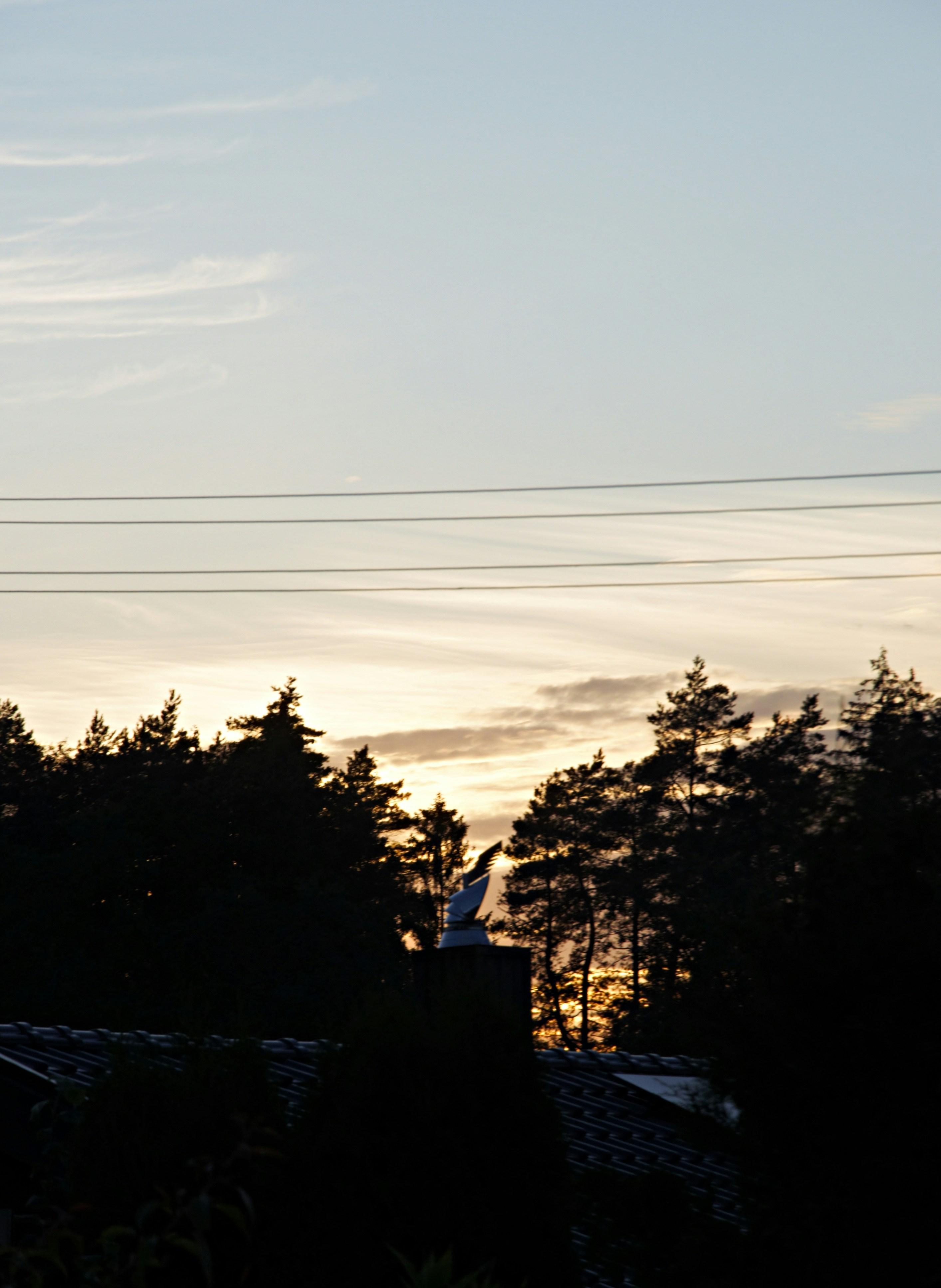 Blue rooftop sentinel against a sunset sky