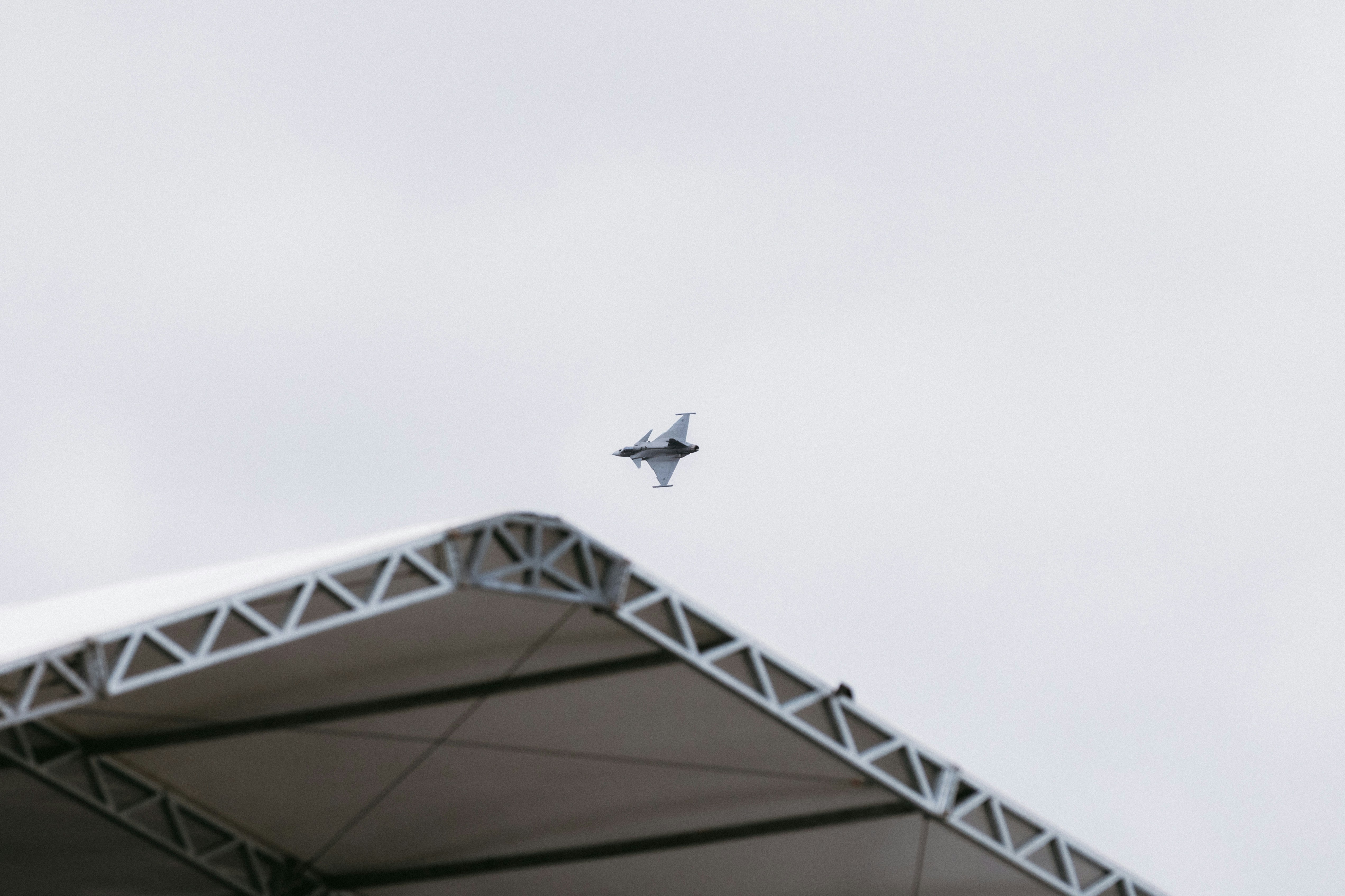 Lone gull gliding over a steel-truss roof