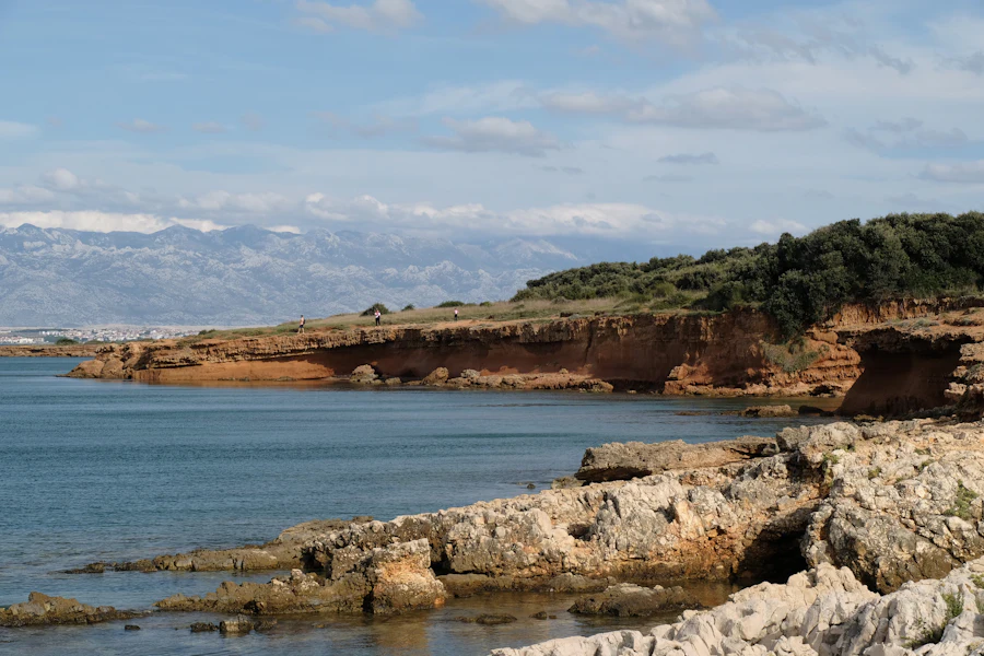 Rocky shoreline extends along calm blue water with grassy cliffs and distant mountains under a clear sky.