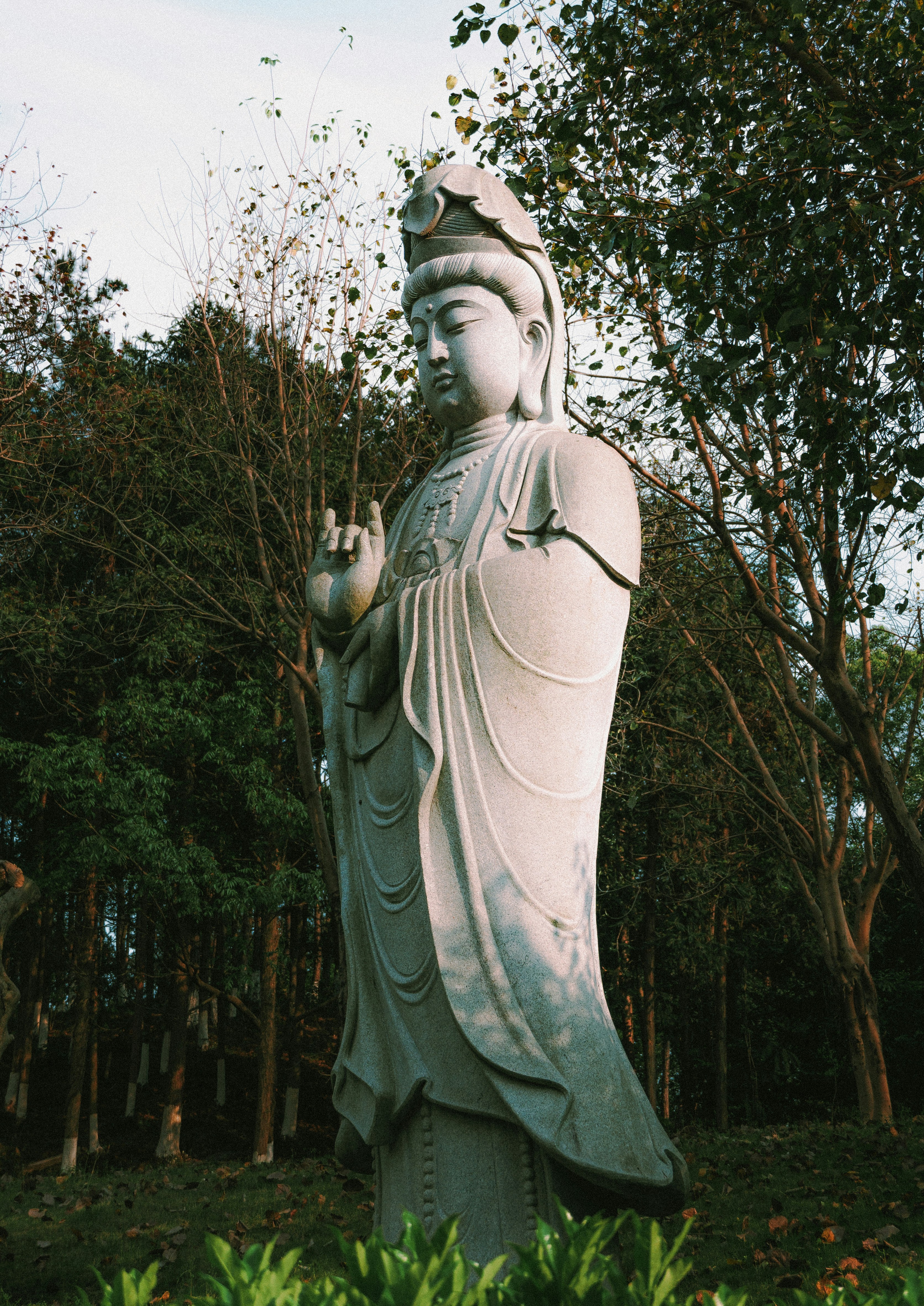 Photo by Paul Yong with Ricoh GR IIIx