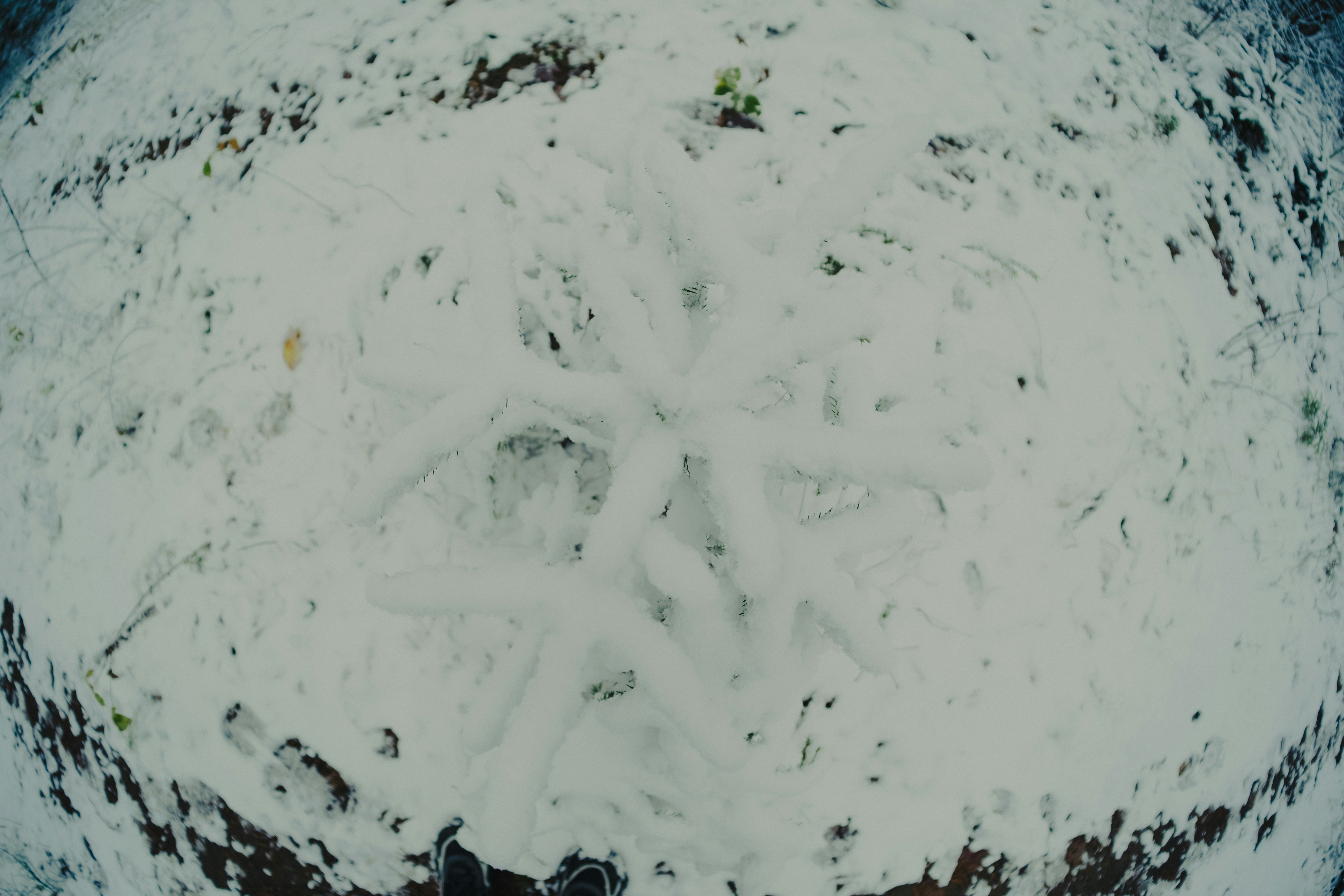 Centered Snowstar: A top-down frost pattern within a circular rim