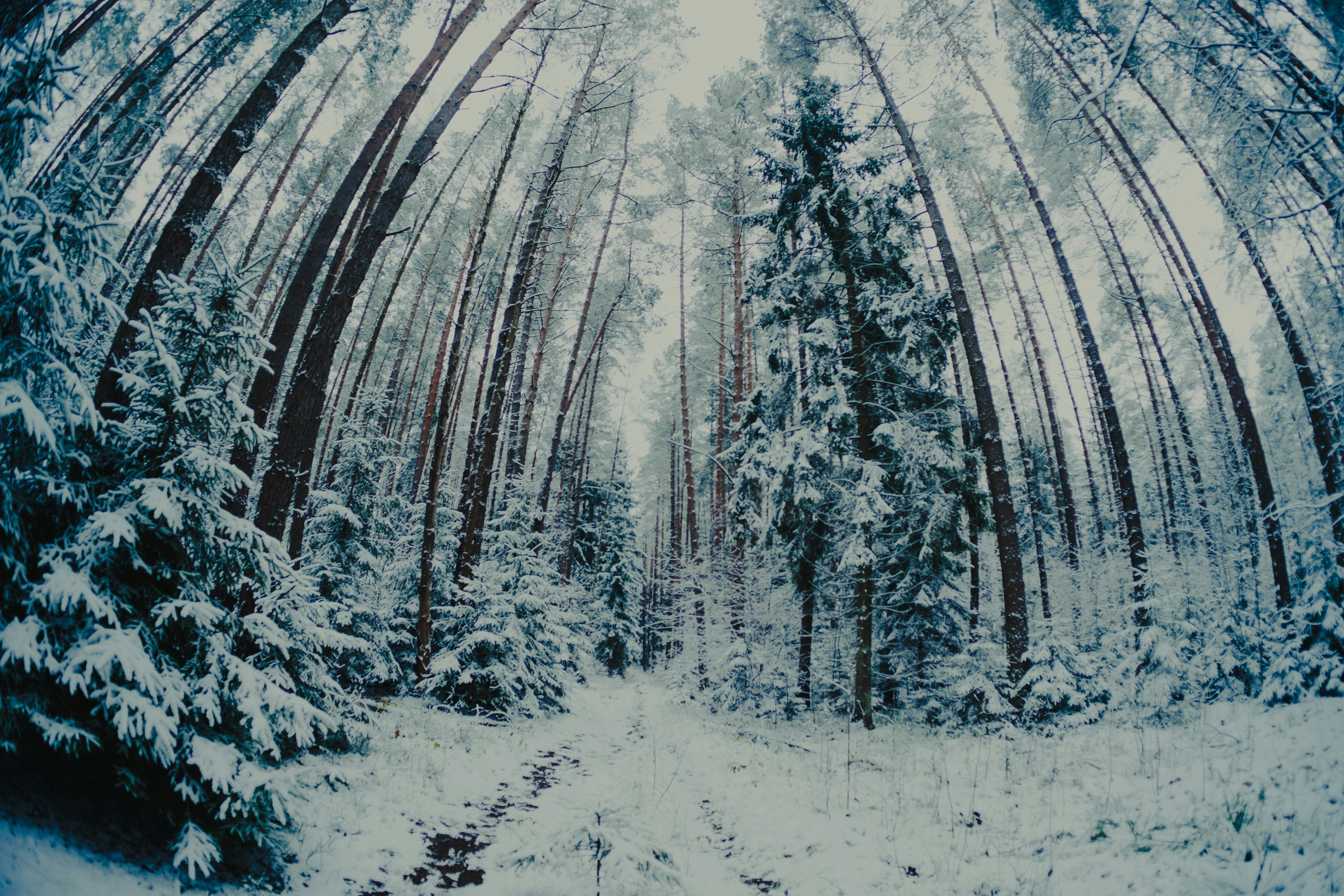 Photo by Hanna Lazar with Fujifilm X-S10