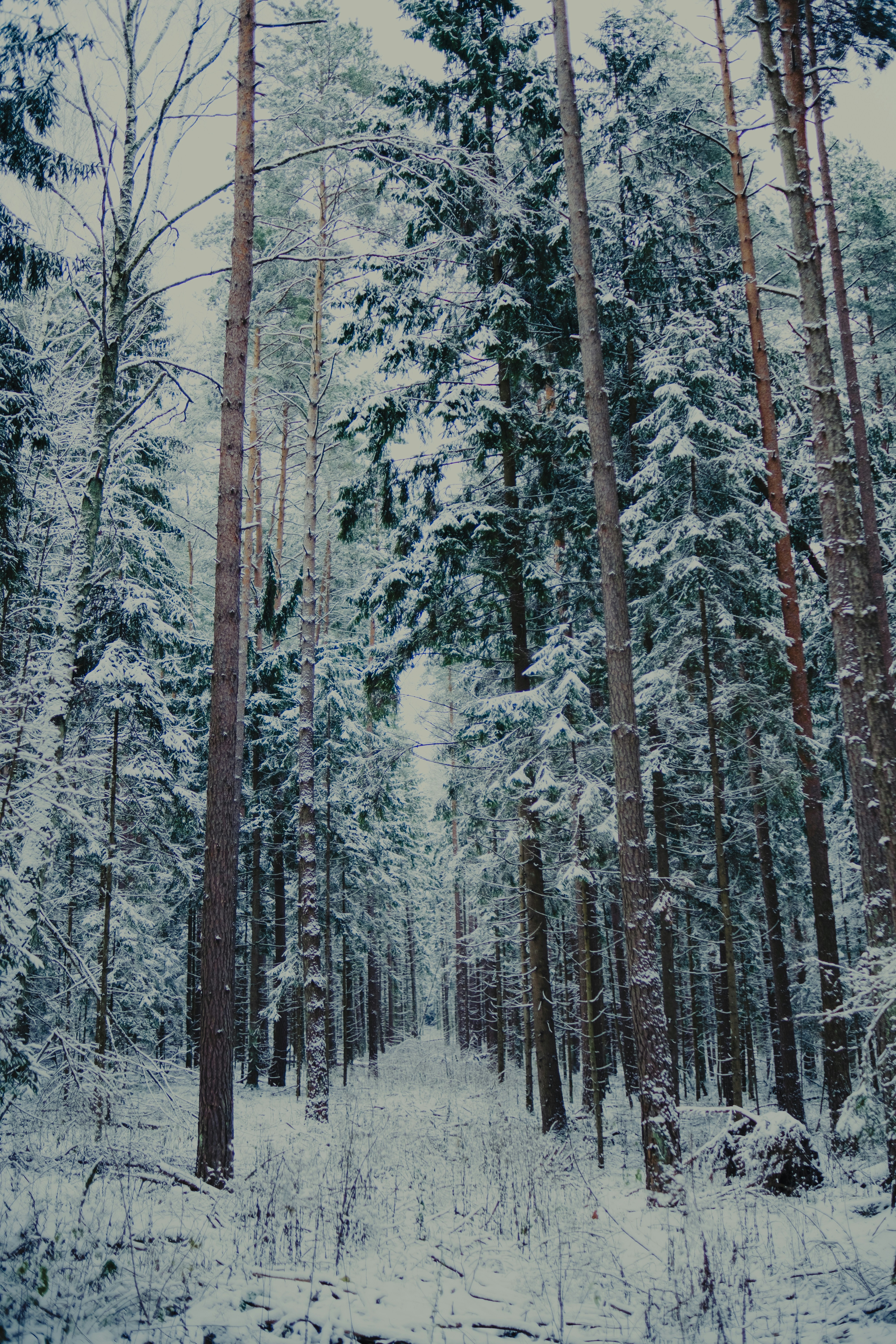 Photo by Hanna Lazar with Fujifilm X-S10