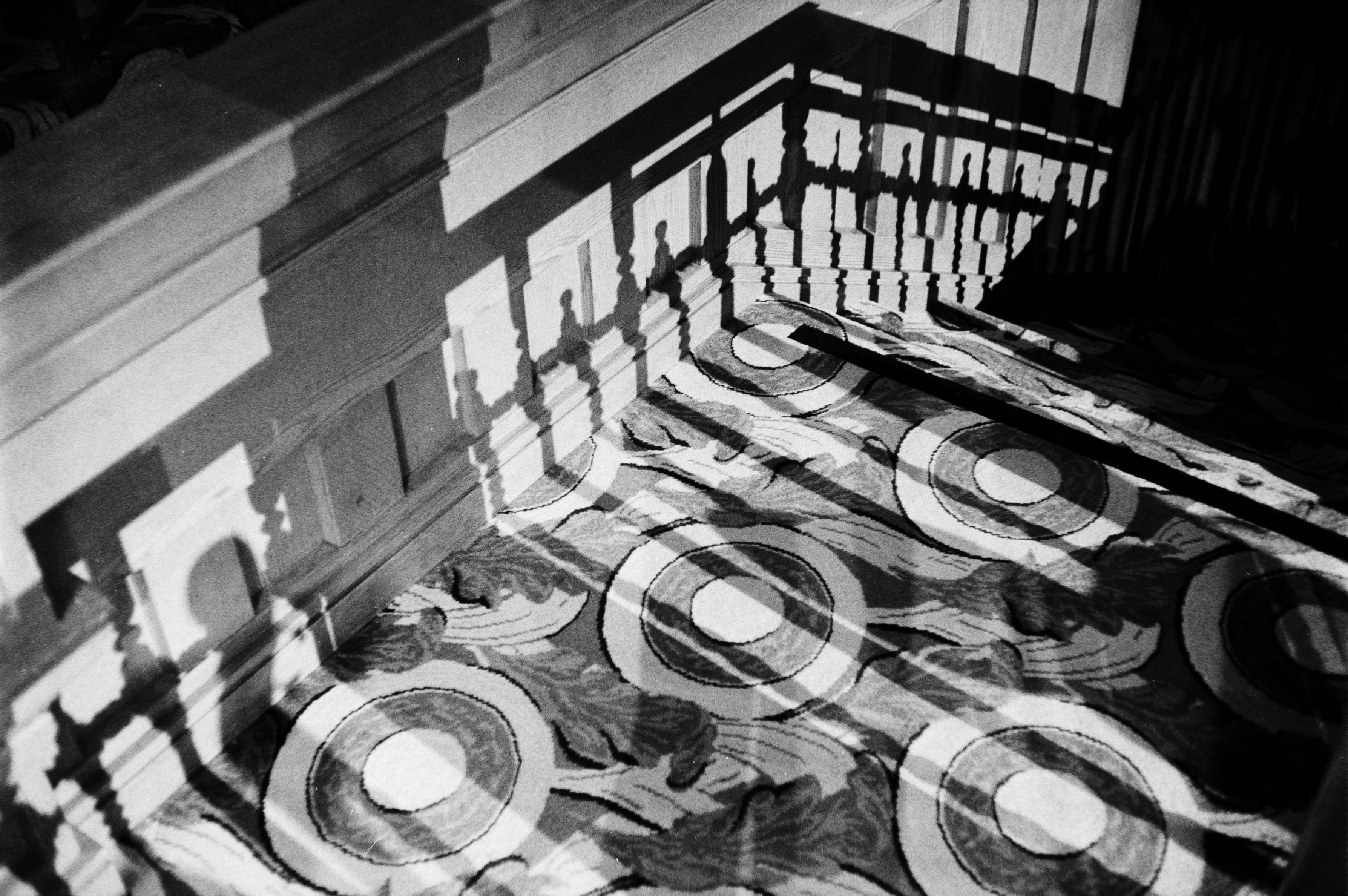 Circles in Shadow: Light Rings Along a Rail-Shadowed Balcony