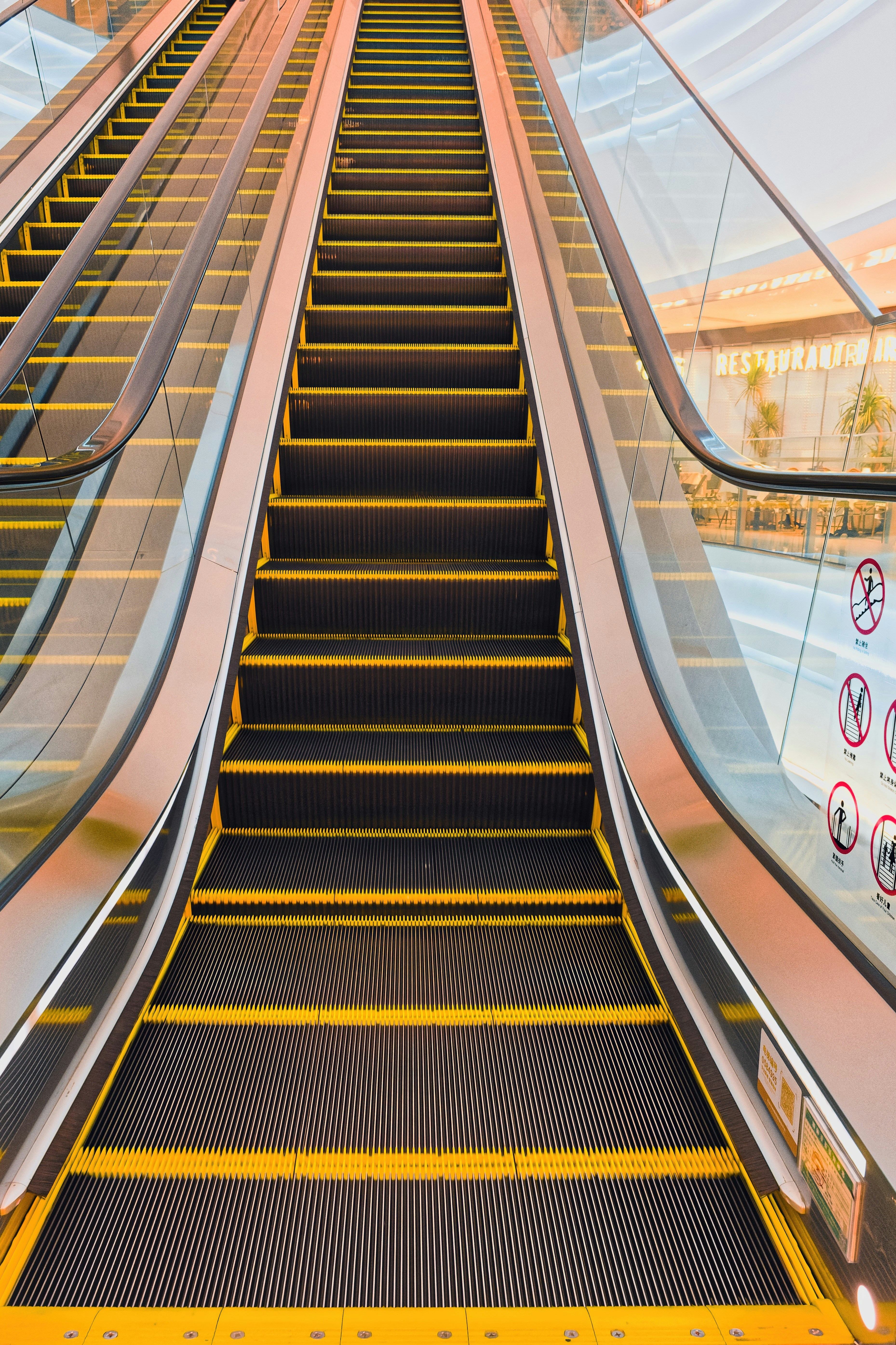 Vertical Harmony: The Centered Escalator in Glass and Light