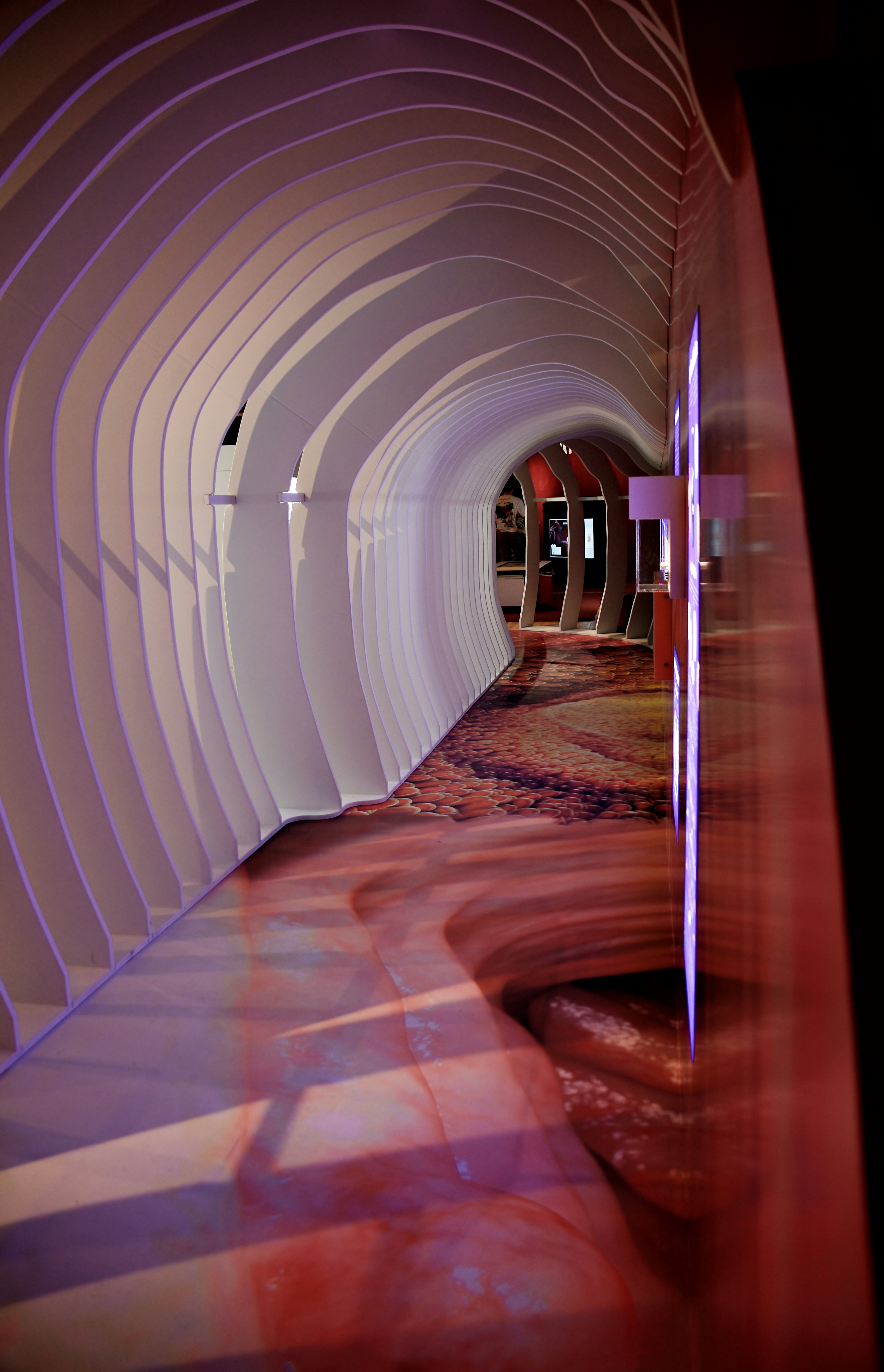 Curved Archways: Neon-Tinted Corridor