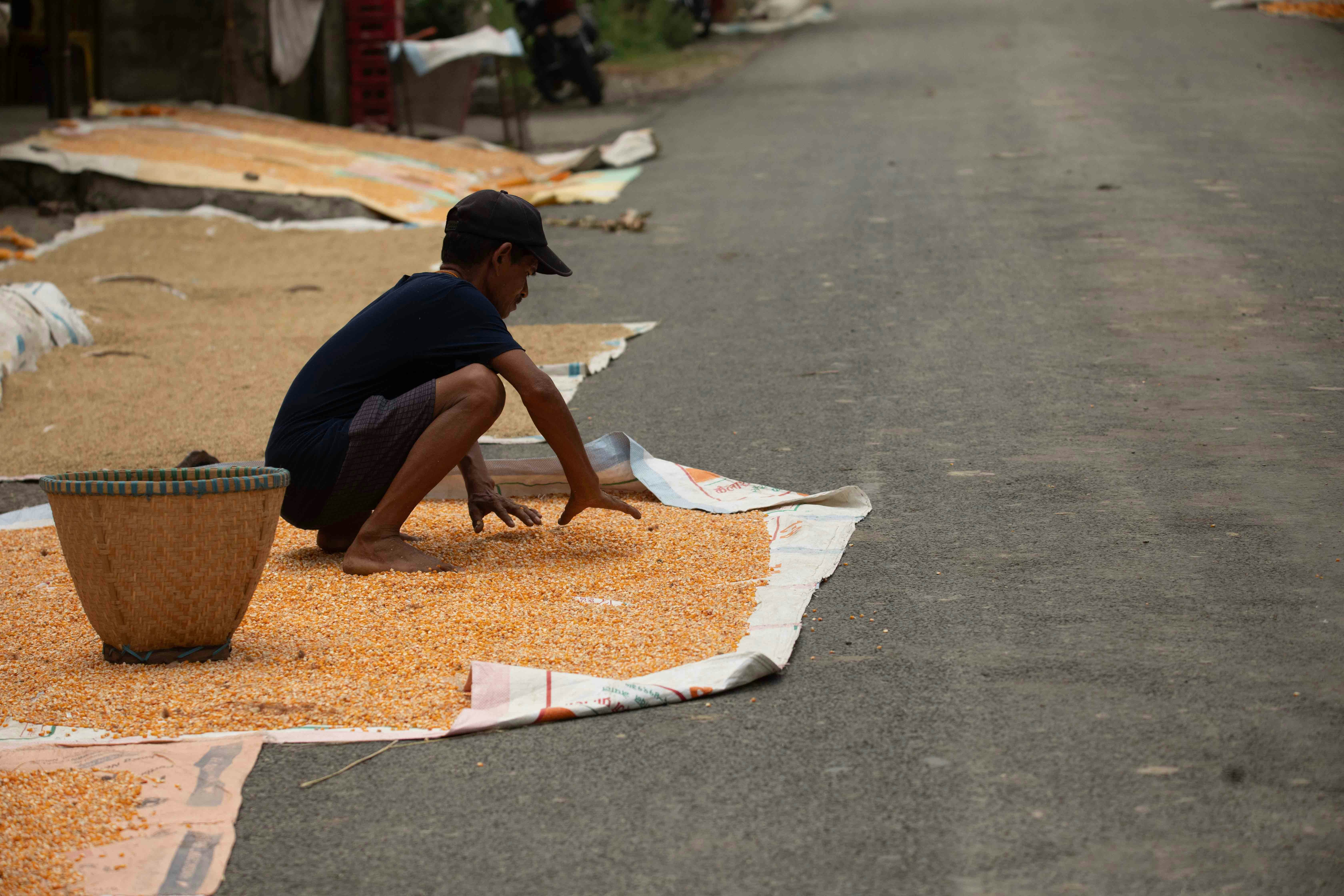 Crouched Vendor Amid a Roadside Patch of Corn