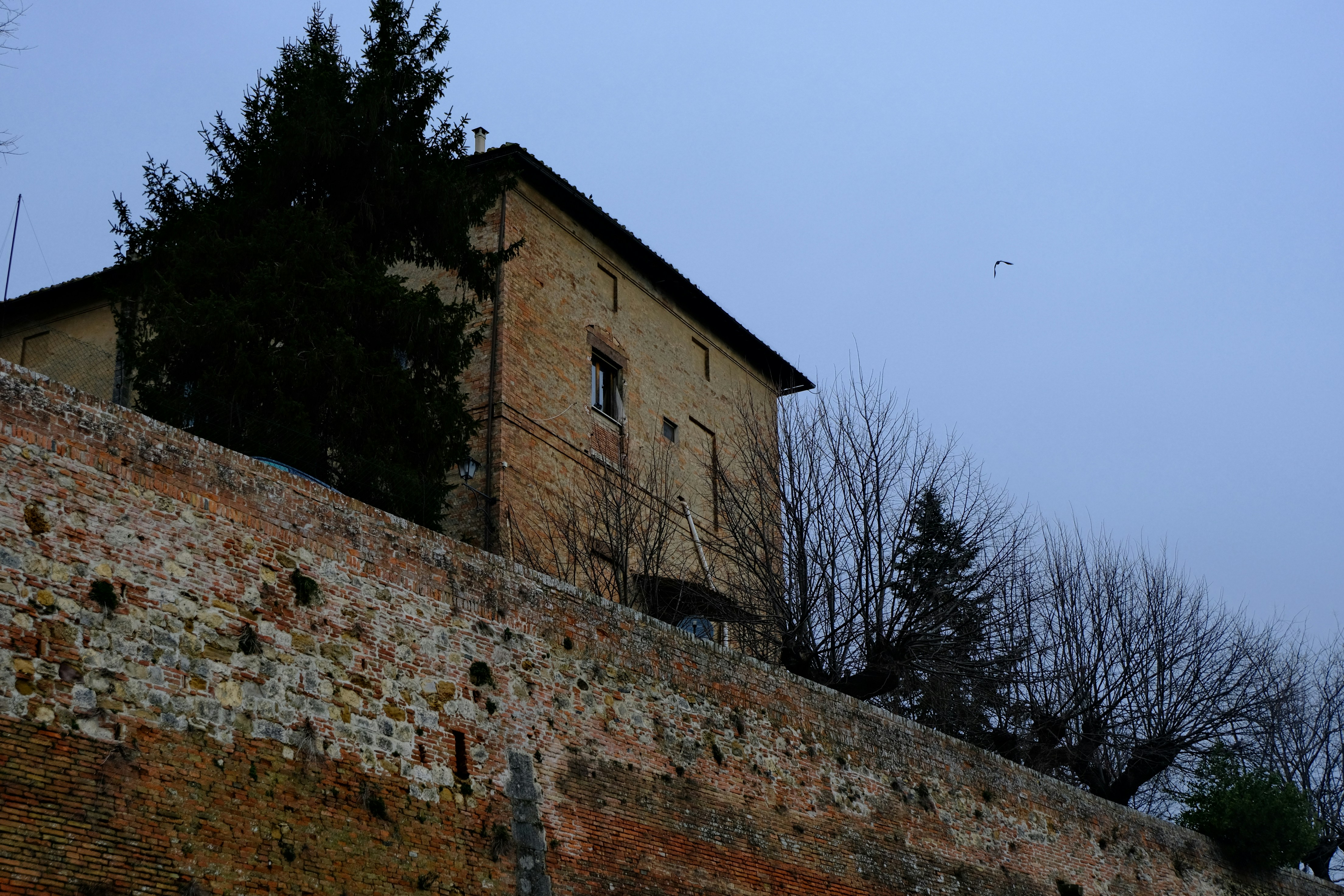 Photo by José Luis Lobera with Fujifilm X-T30 II
