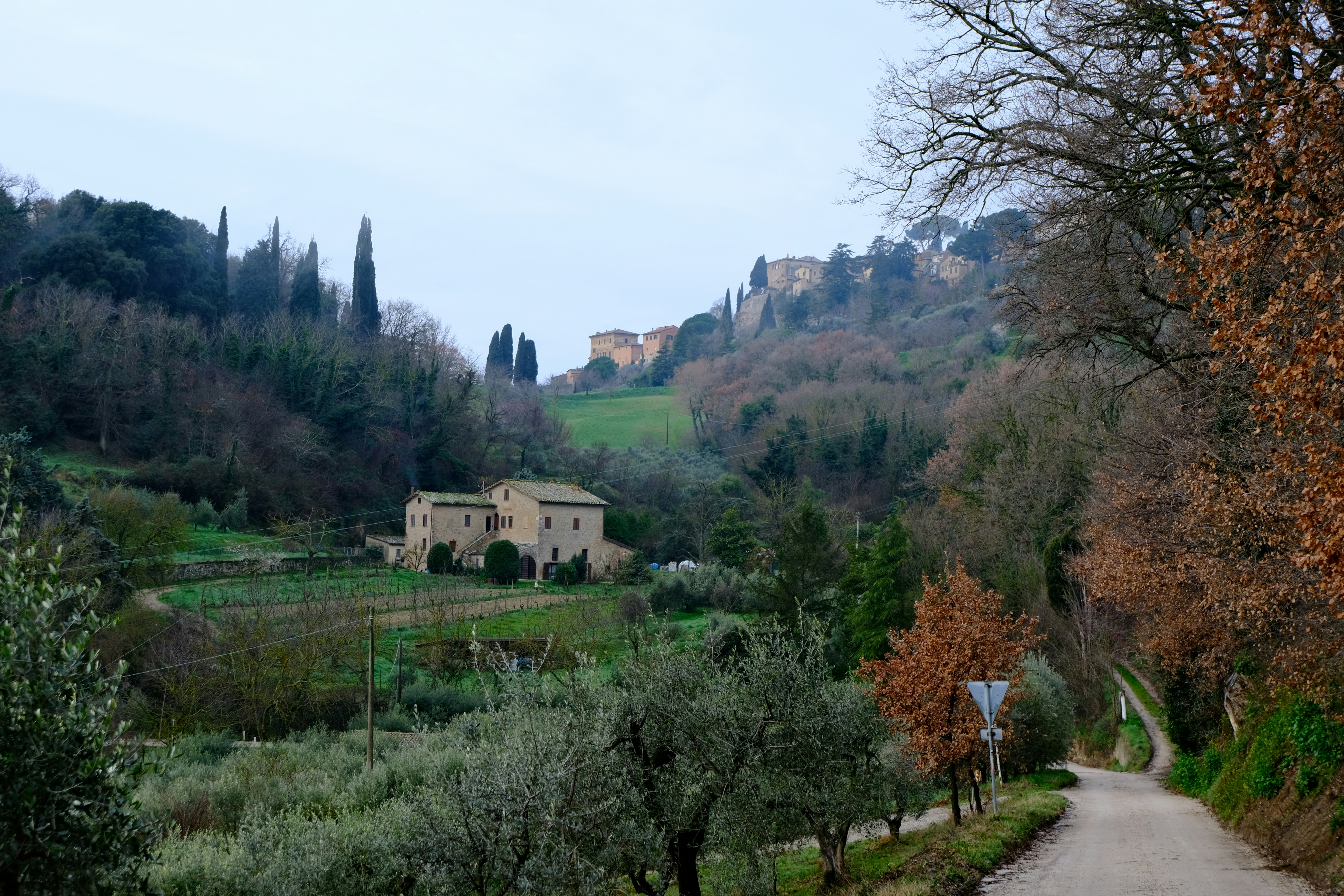 Stone Farmhouse in a Tuscan Valley with a Winding Path