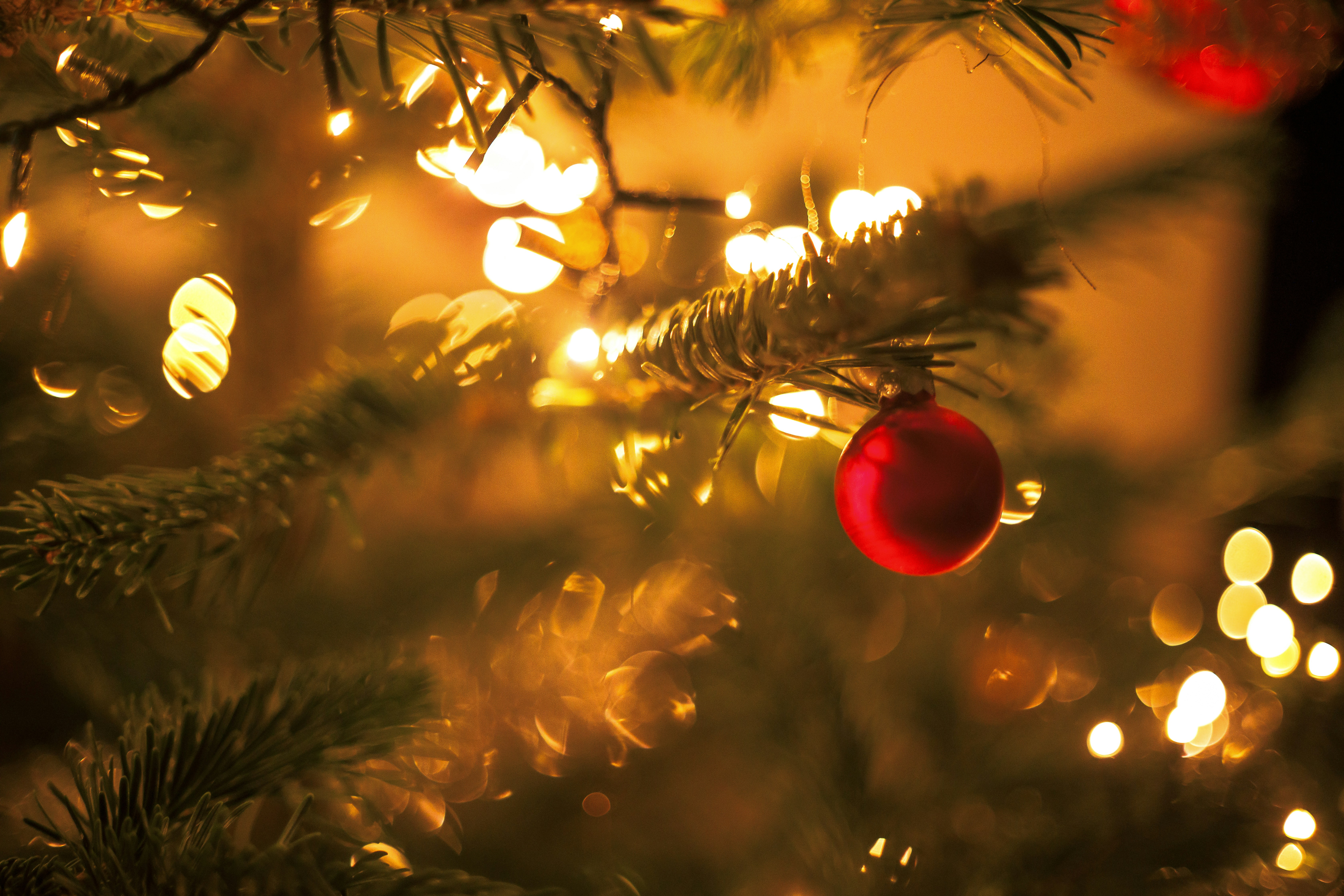 Crimson Ornament in a Velvet Holiday Glow