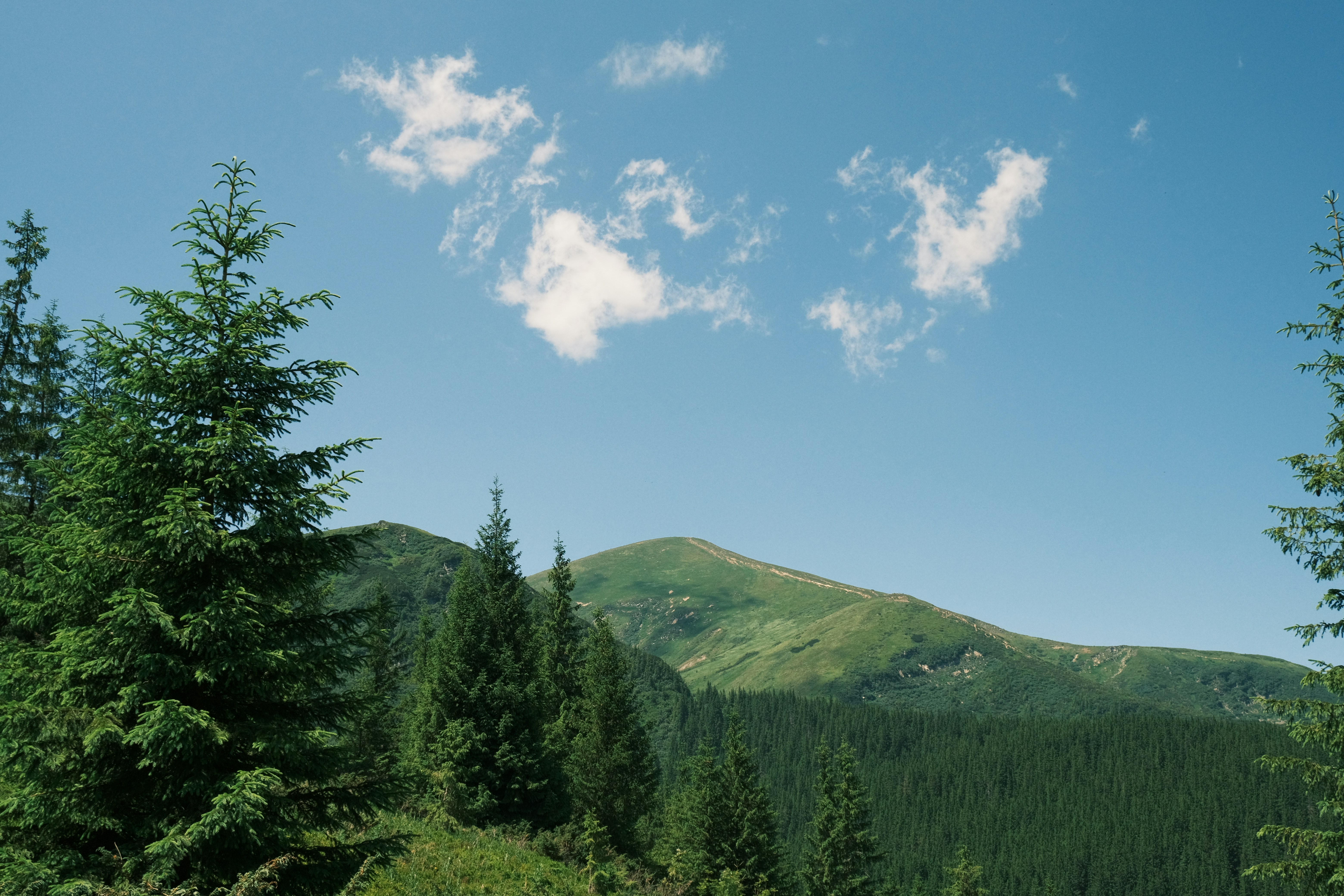 Photo by R_ INVSCIMENTO with Fujifilm X-T30 II