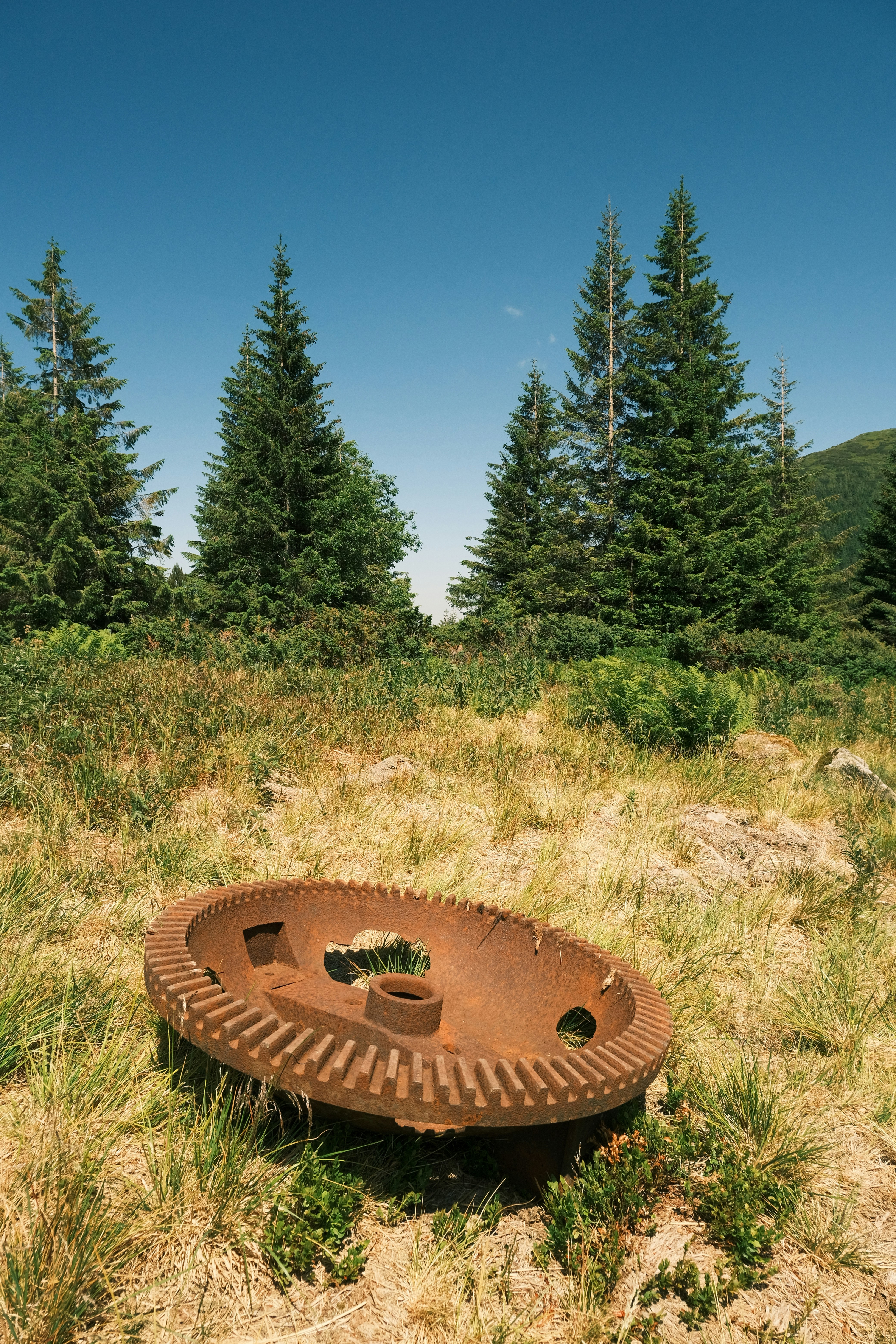 Rusted Gear in a Meadow Beneath a Clear Blue Sky