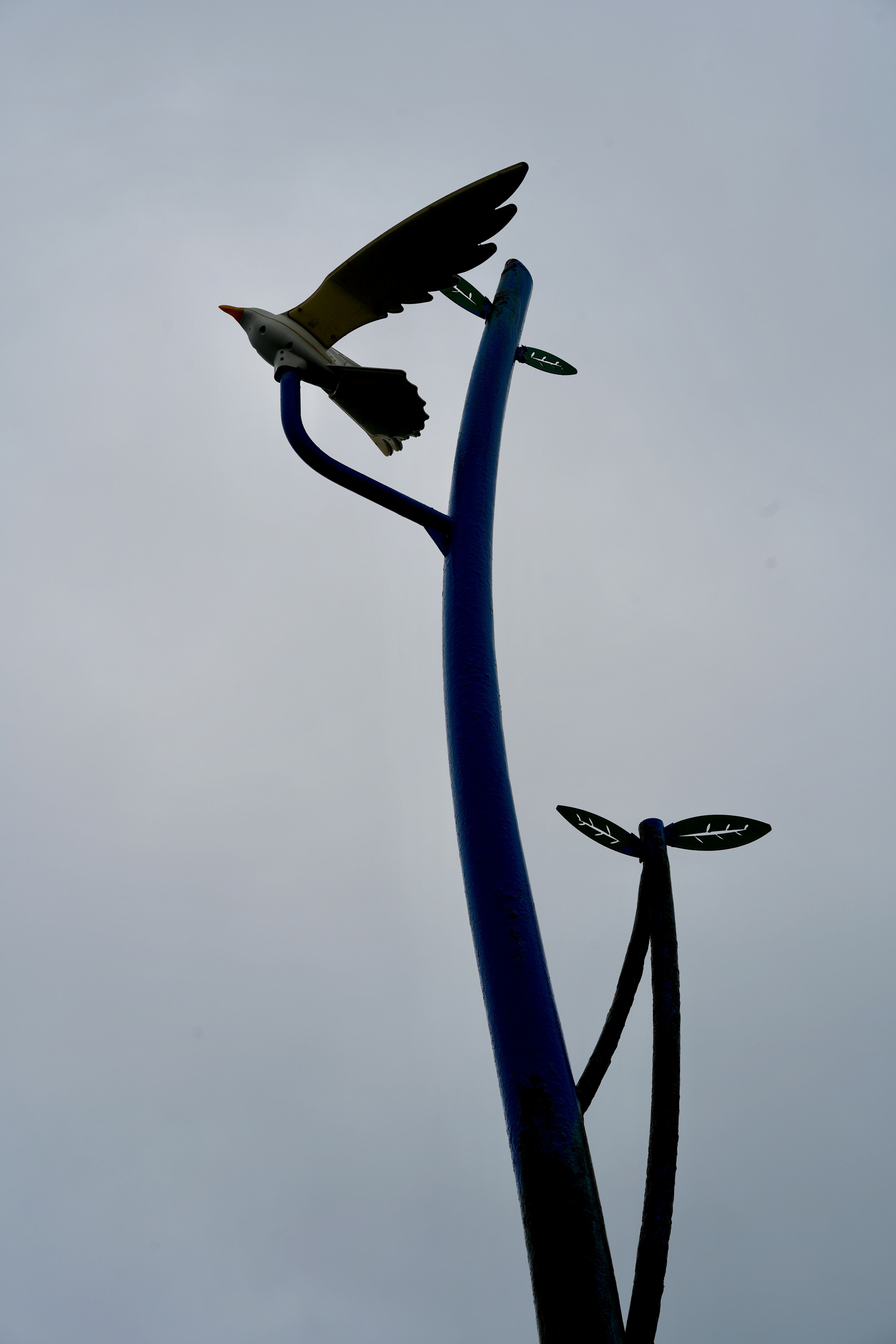 Photo by Karen Chew with Sony Alpha 7 IV