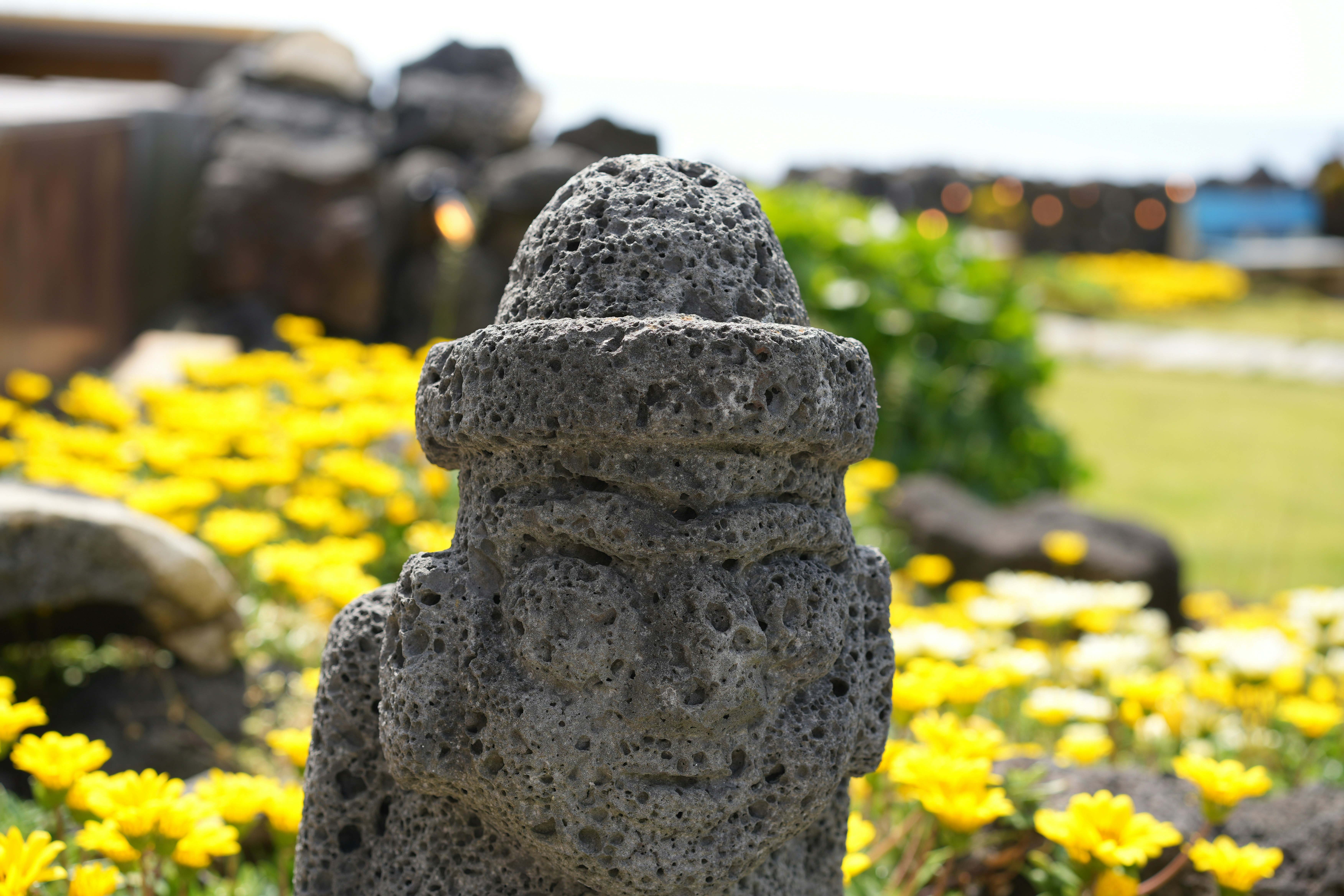 Photo by Karen Chew with Sony Alpha 7 IV