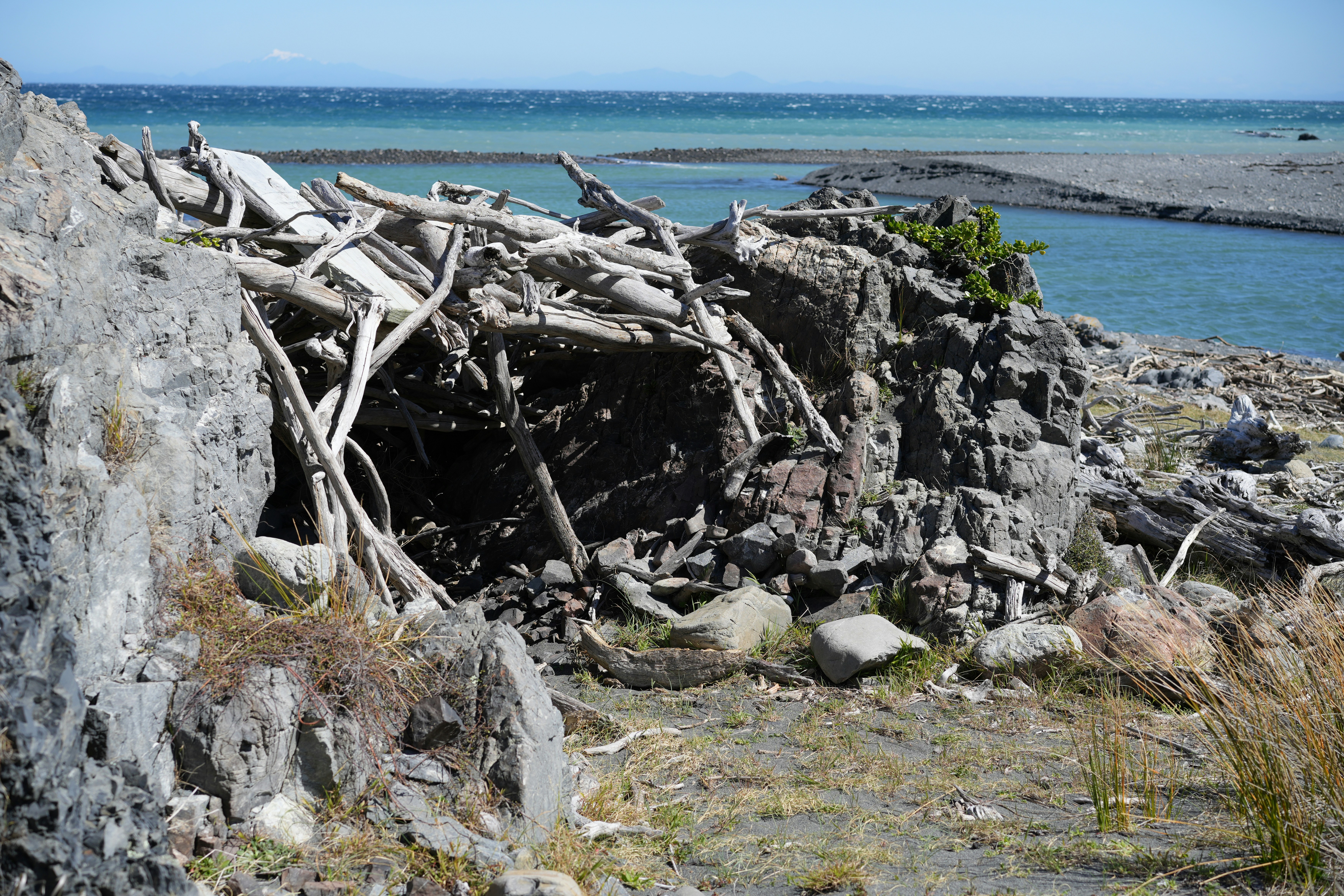 Driftwood Arch at the Edge of a Rocky Shore