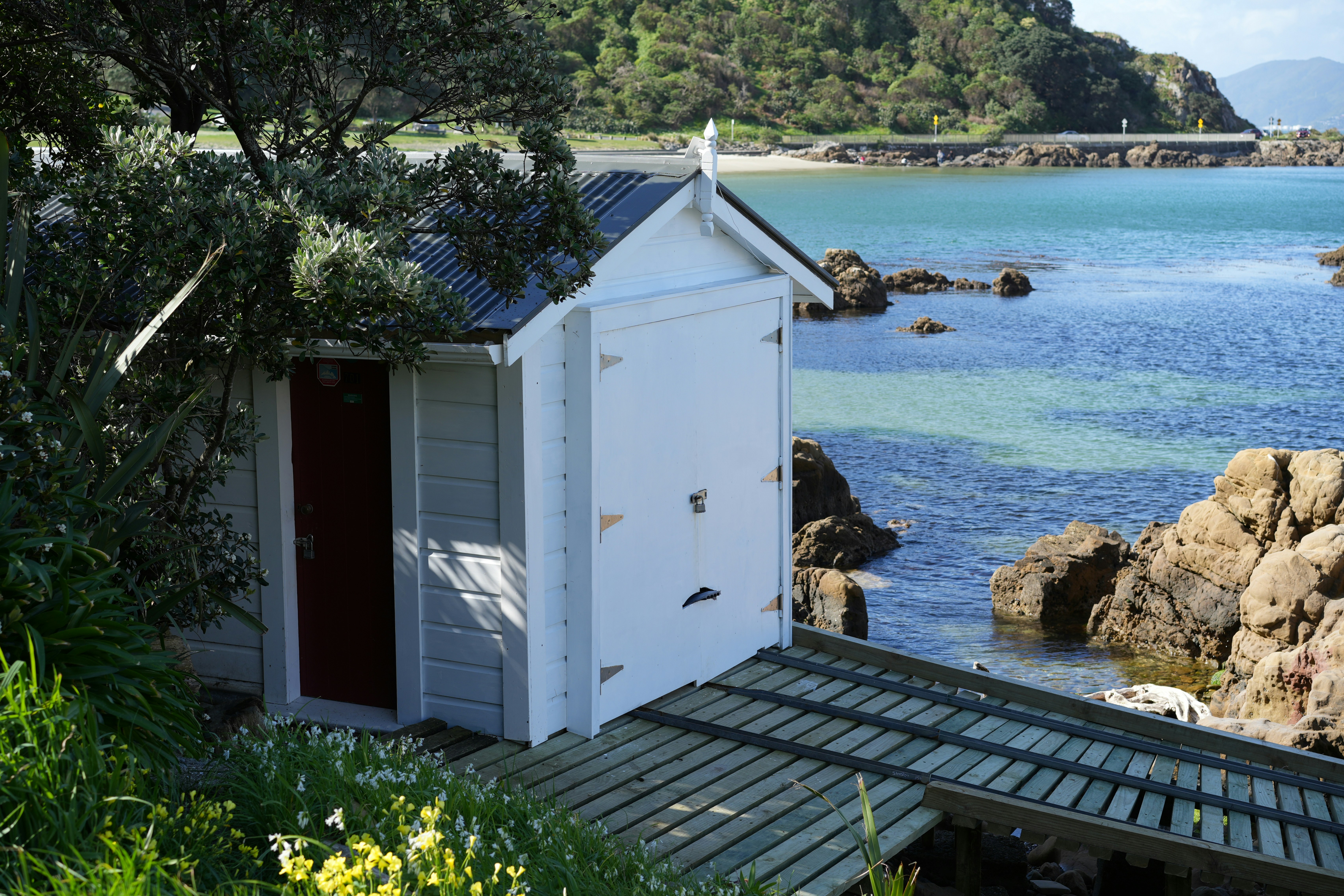 Photo by Karen Chew with Sony Alpha 7 IV