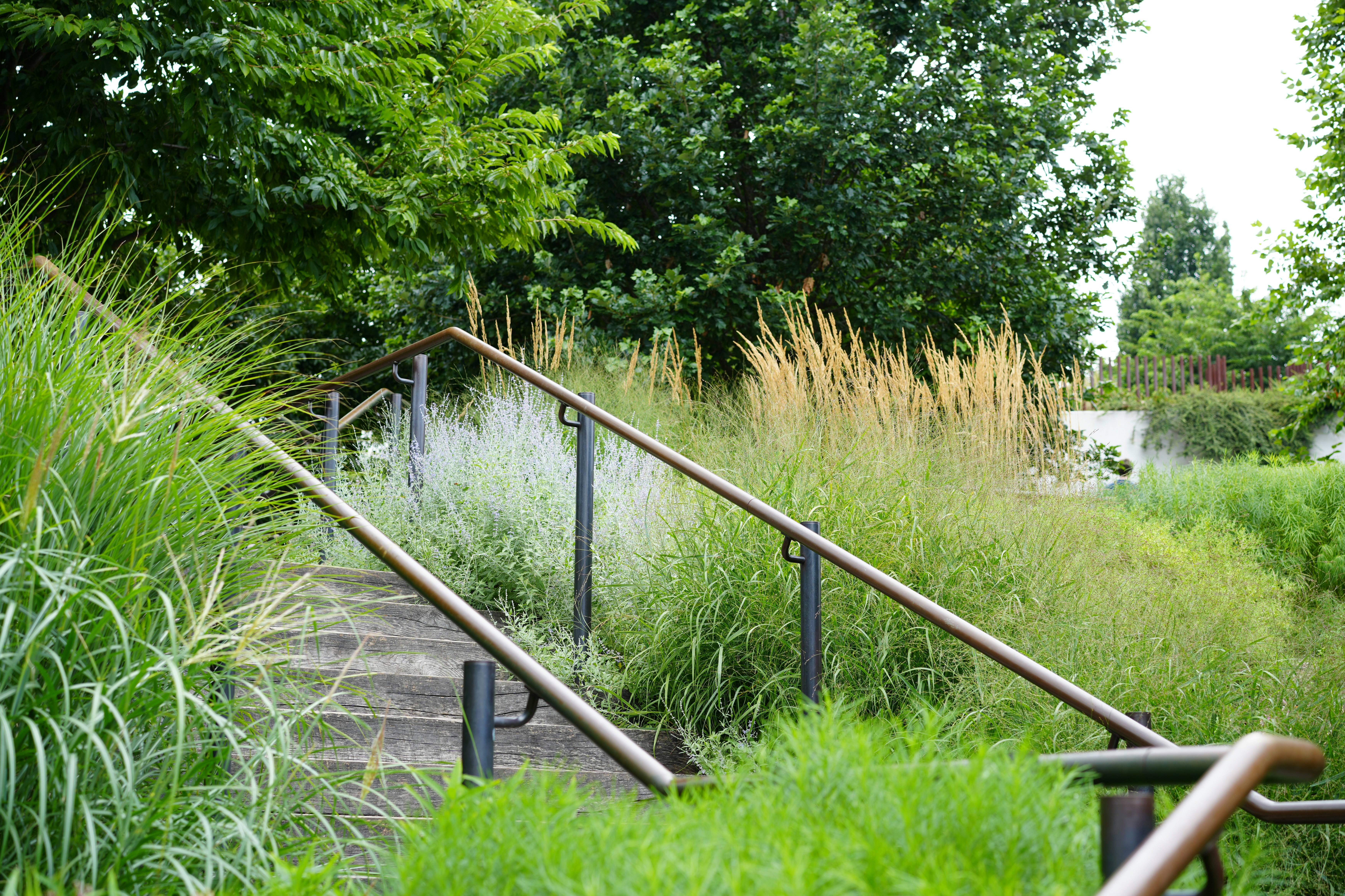 Photo by Karen Chew with Sony Alpha 7 IV