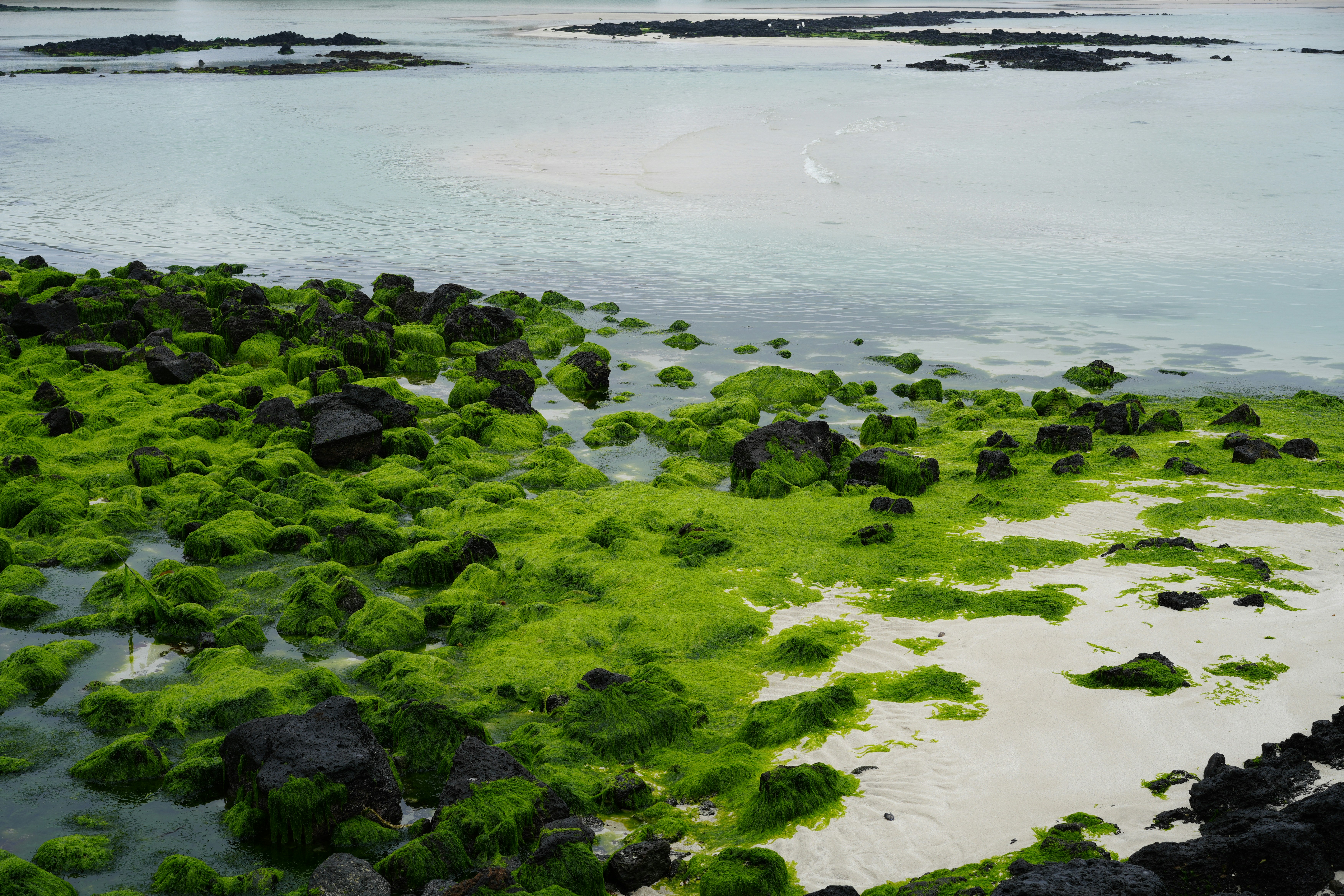 Photo by Karen Chew with Sony Alpha 7 IV