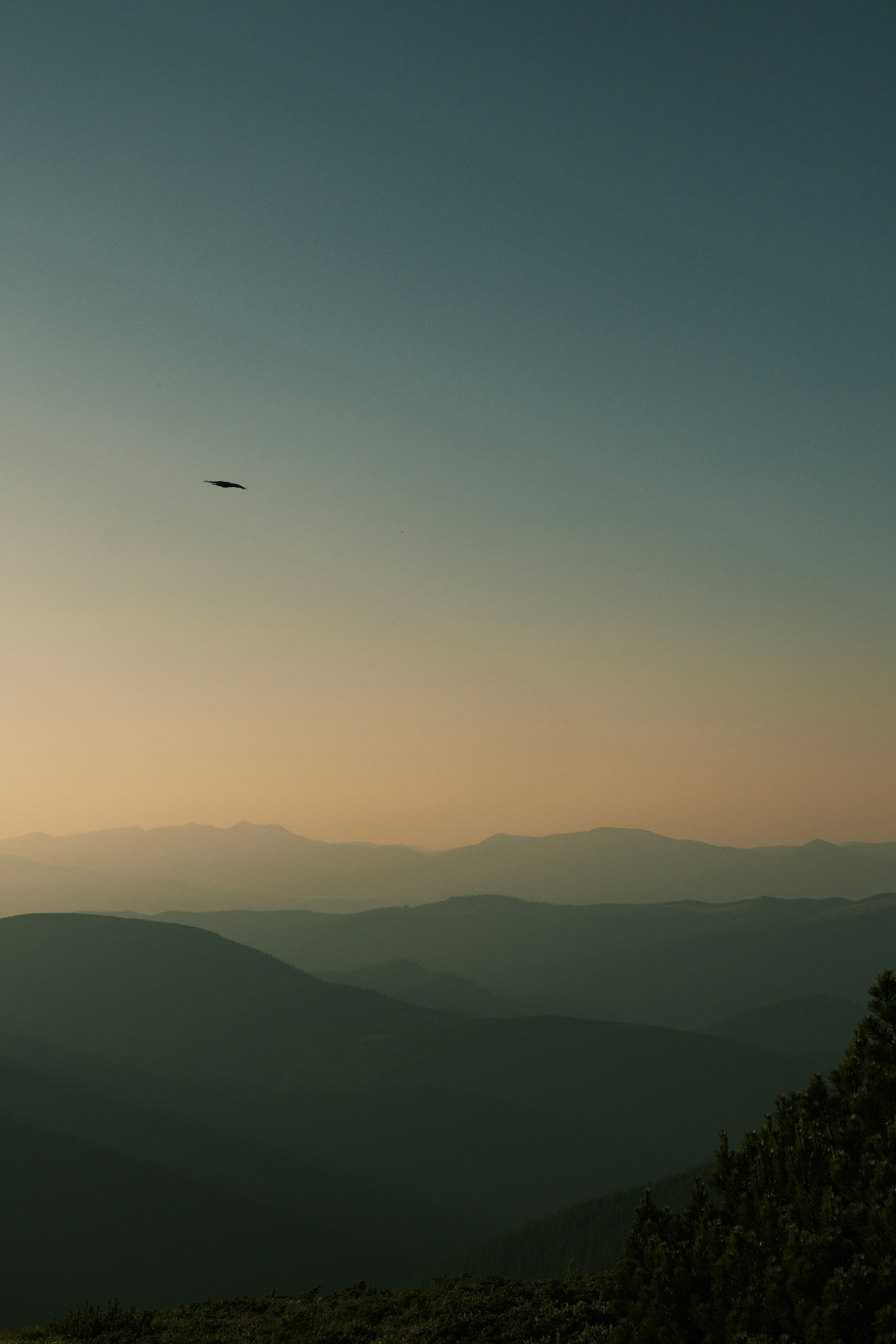 Photo by R_ INVSCIMENTO with Fujifilm X-T30 II