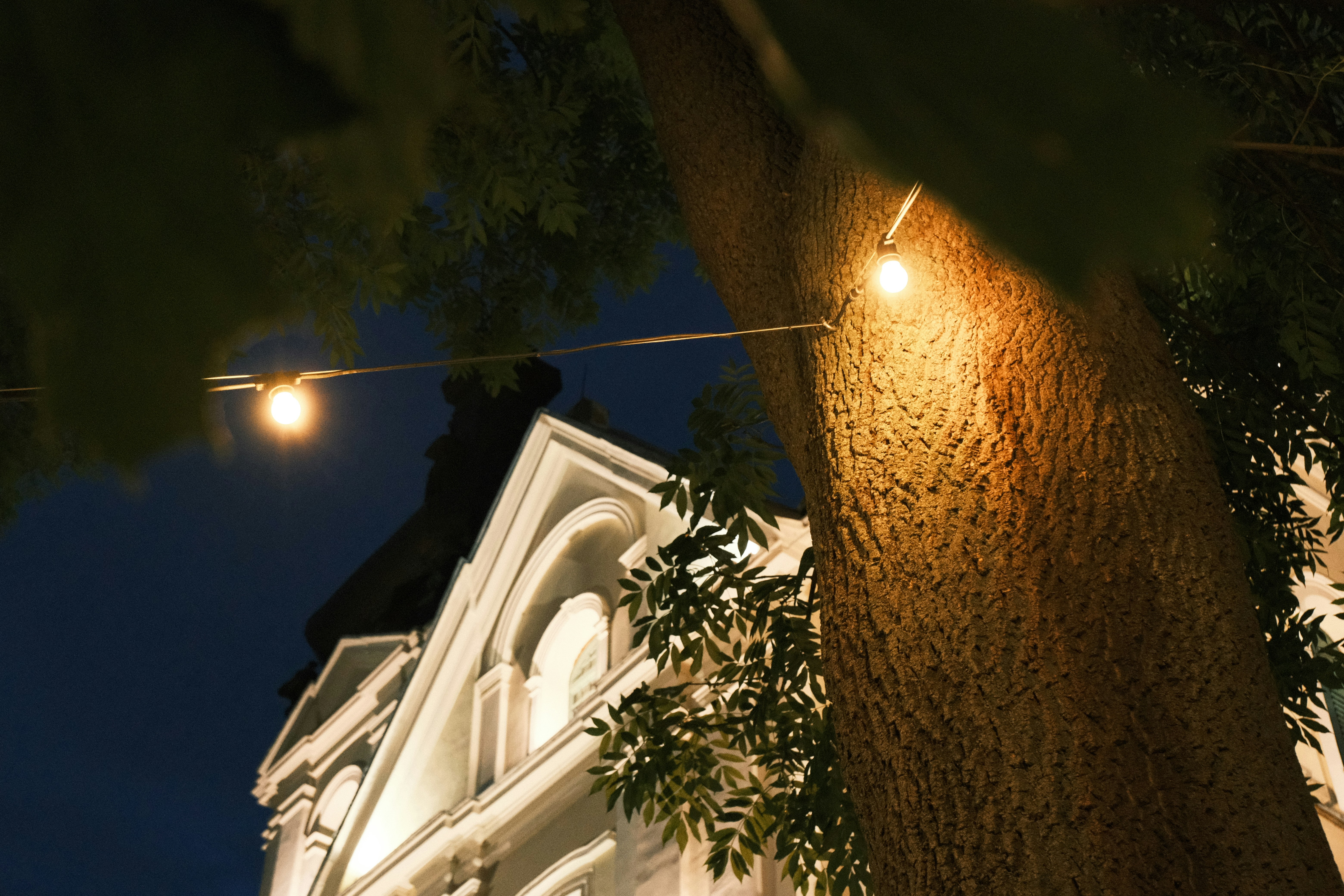 Photo by R_ INVSCIMENTO with Fujifilm X-T30 II