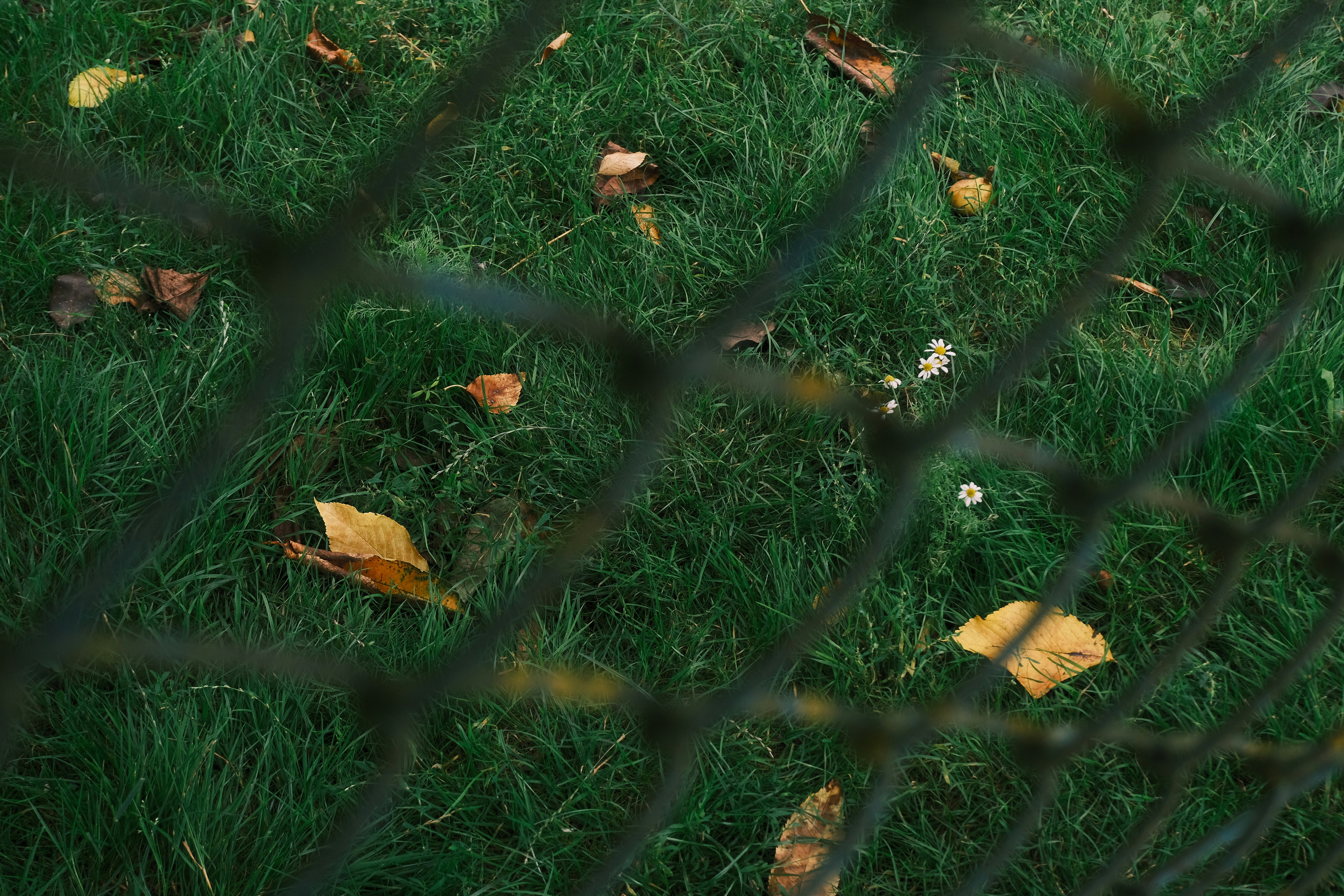 Photo by R_ INVSCIMENTO with Fujifilm X-T30 II