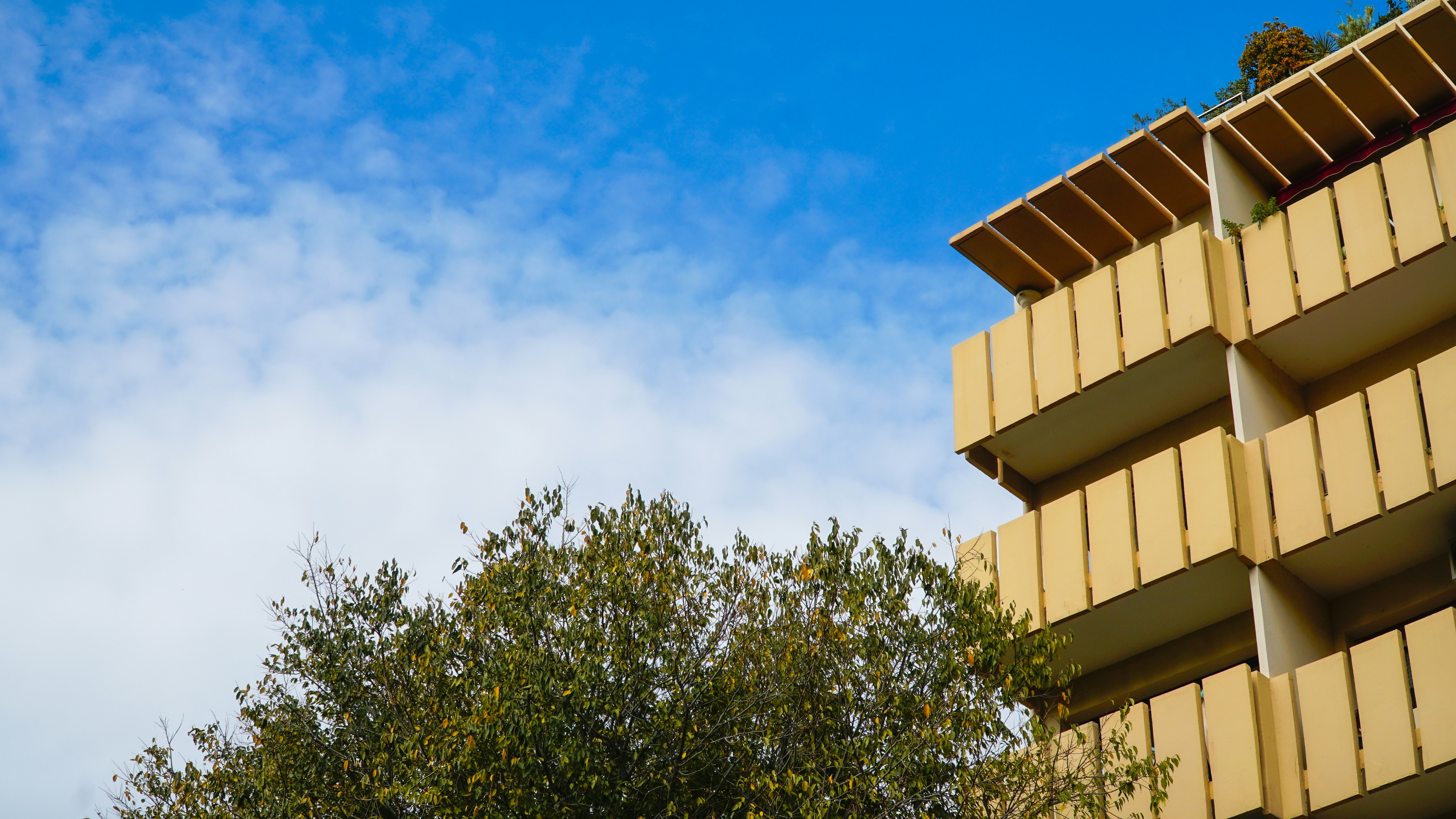 Photo by Yen Vu with Sony Alpha 6300