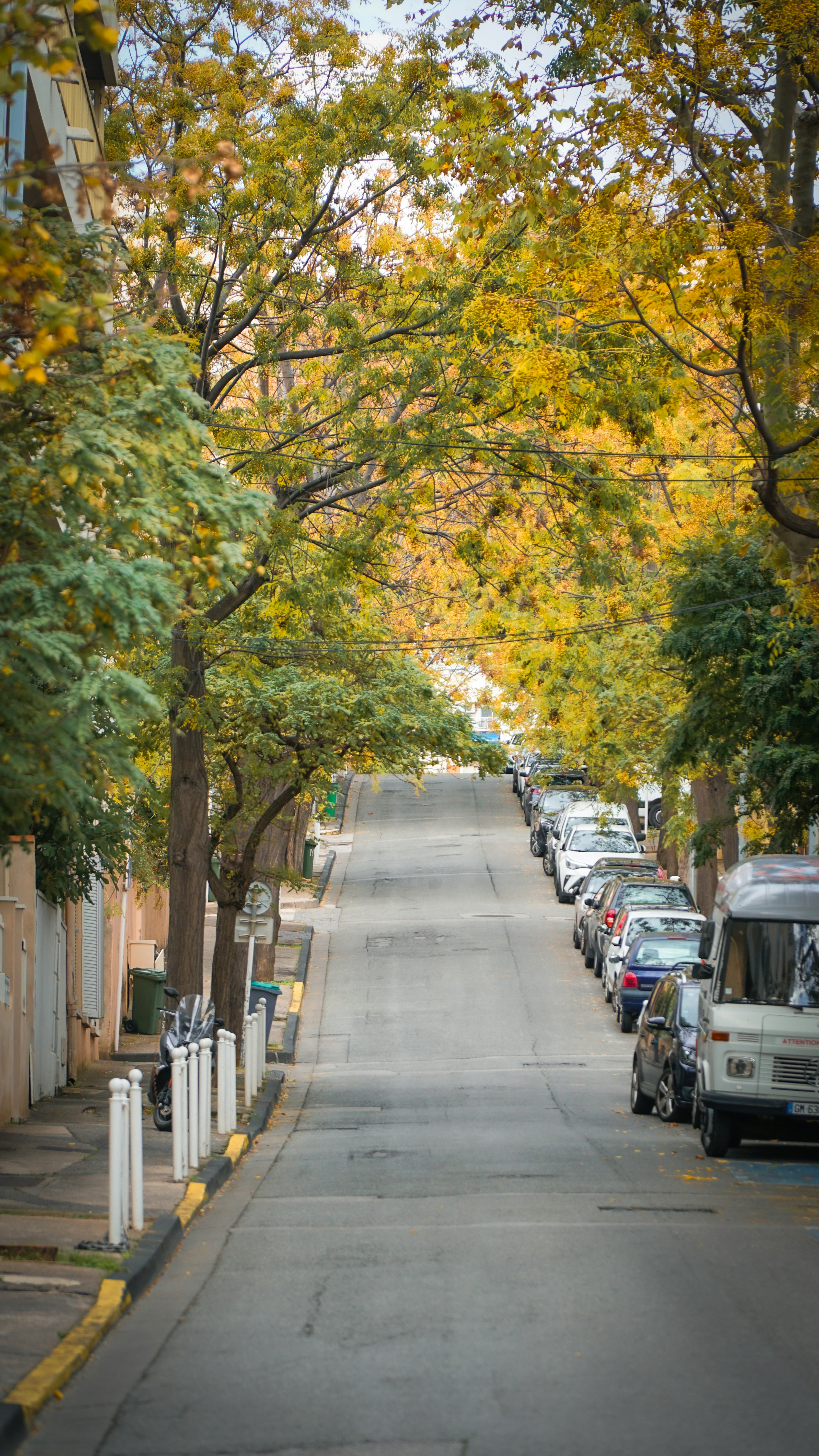 Photo by Yen Vu with Sony Alpha 6300