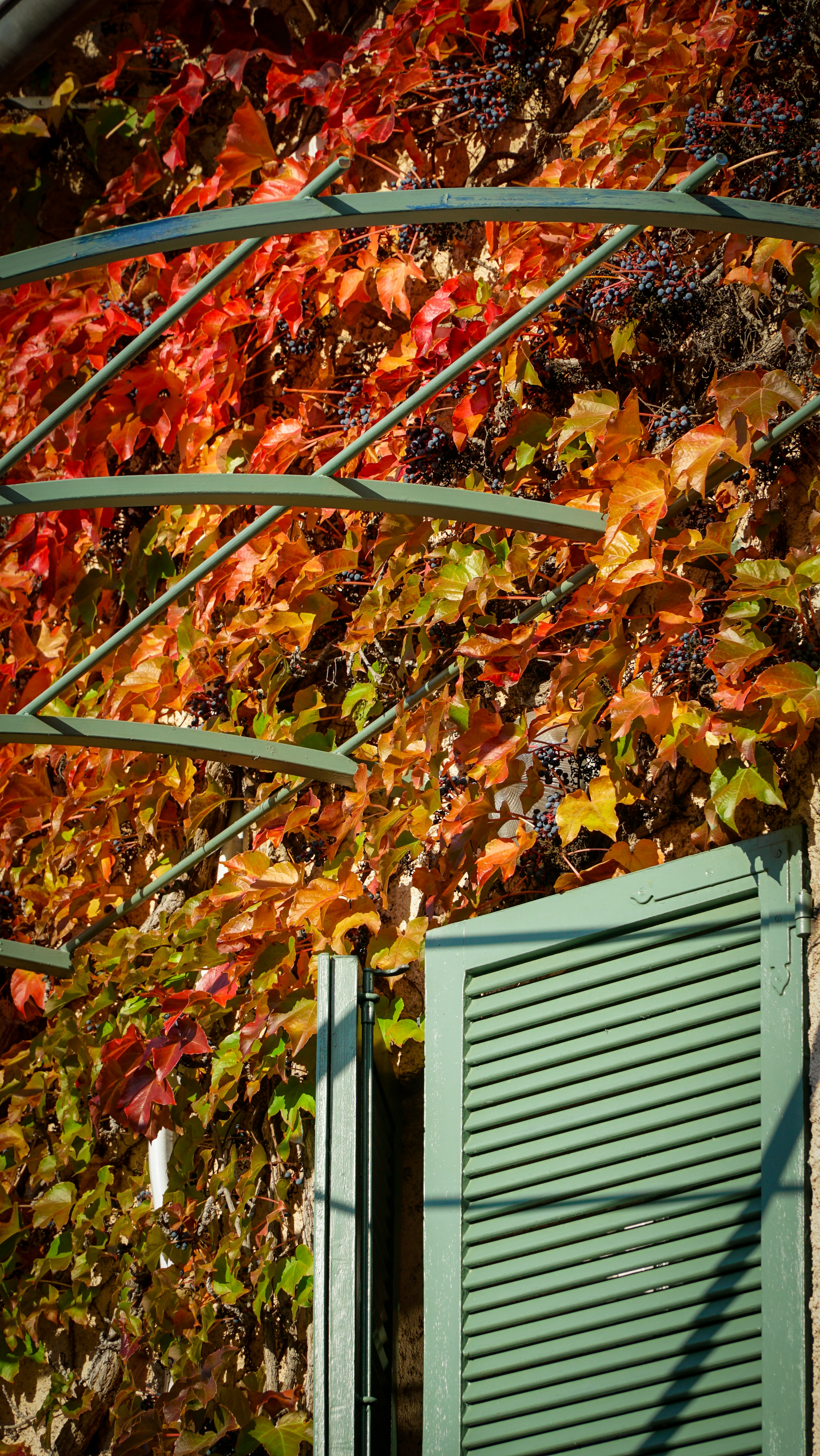 Photo by Yen Vu with Sony Alpha 6300