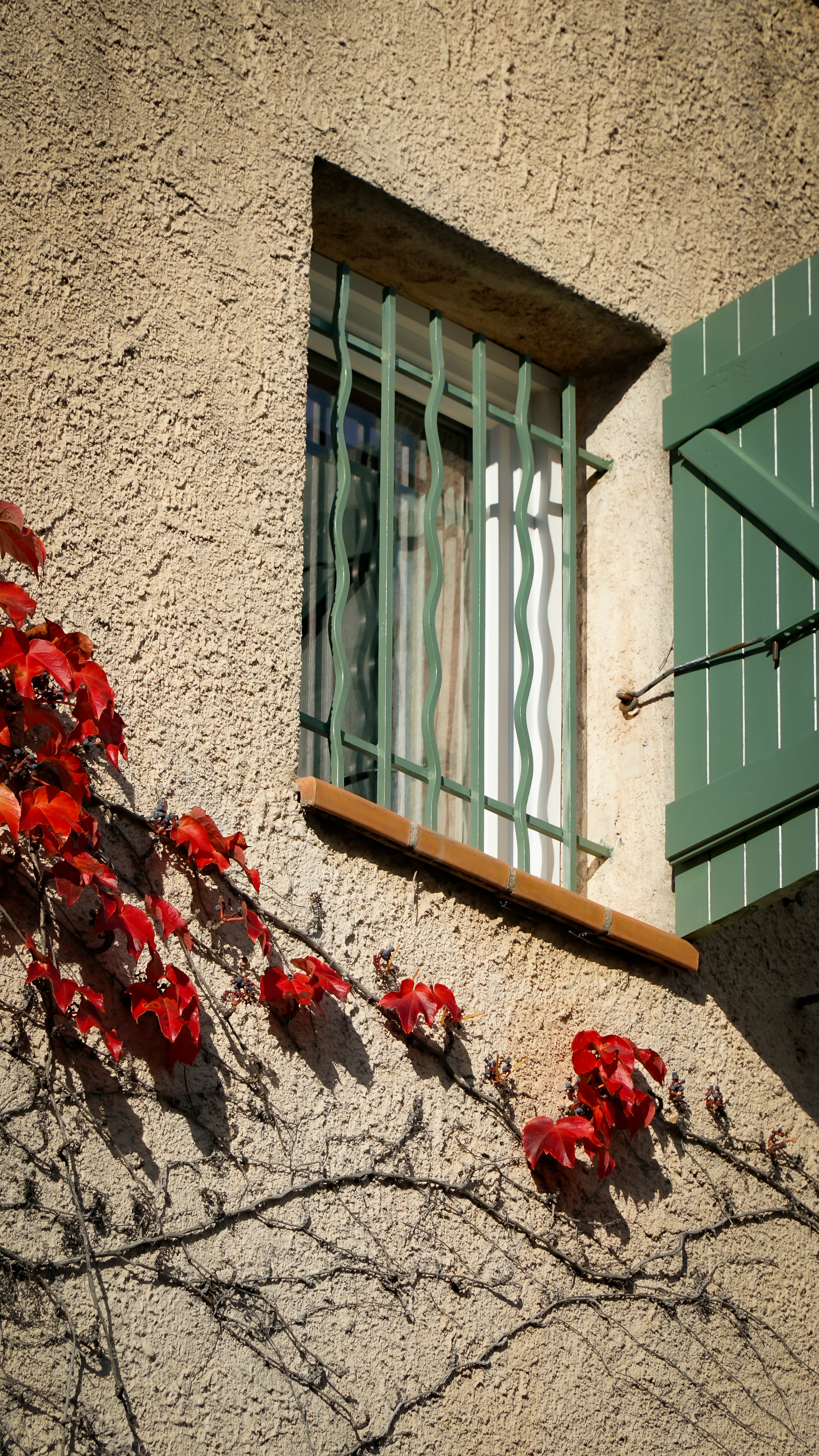 Photo by Yen Vu with Sony Alpha 6300