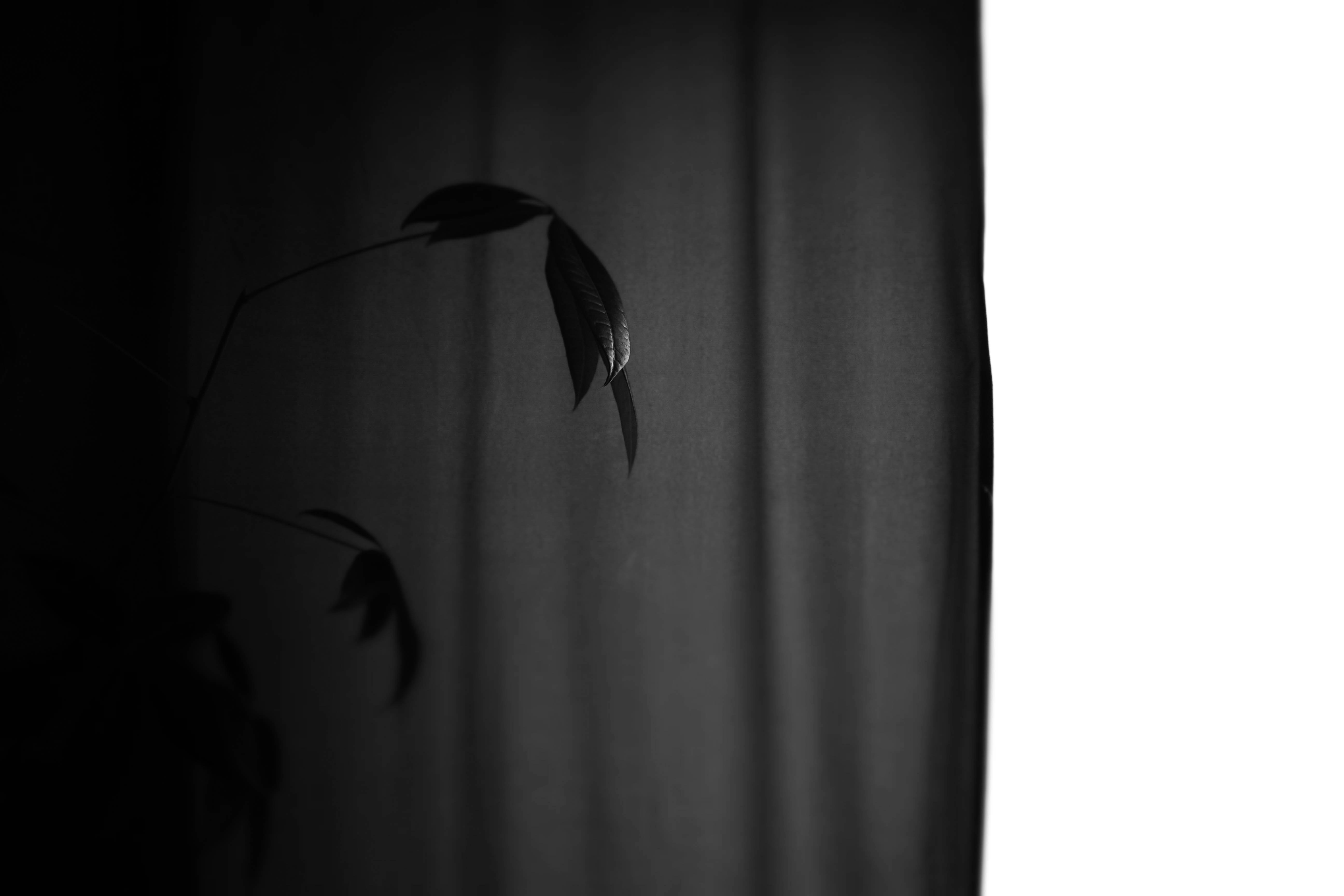 Photo by David Lembas with Canon EOS 600D