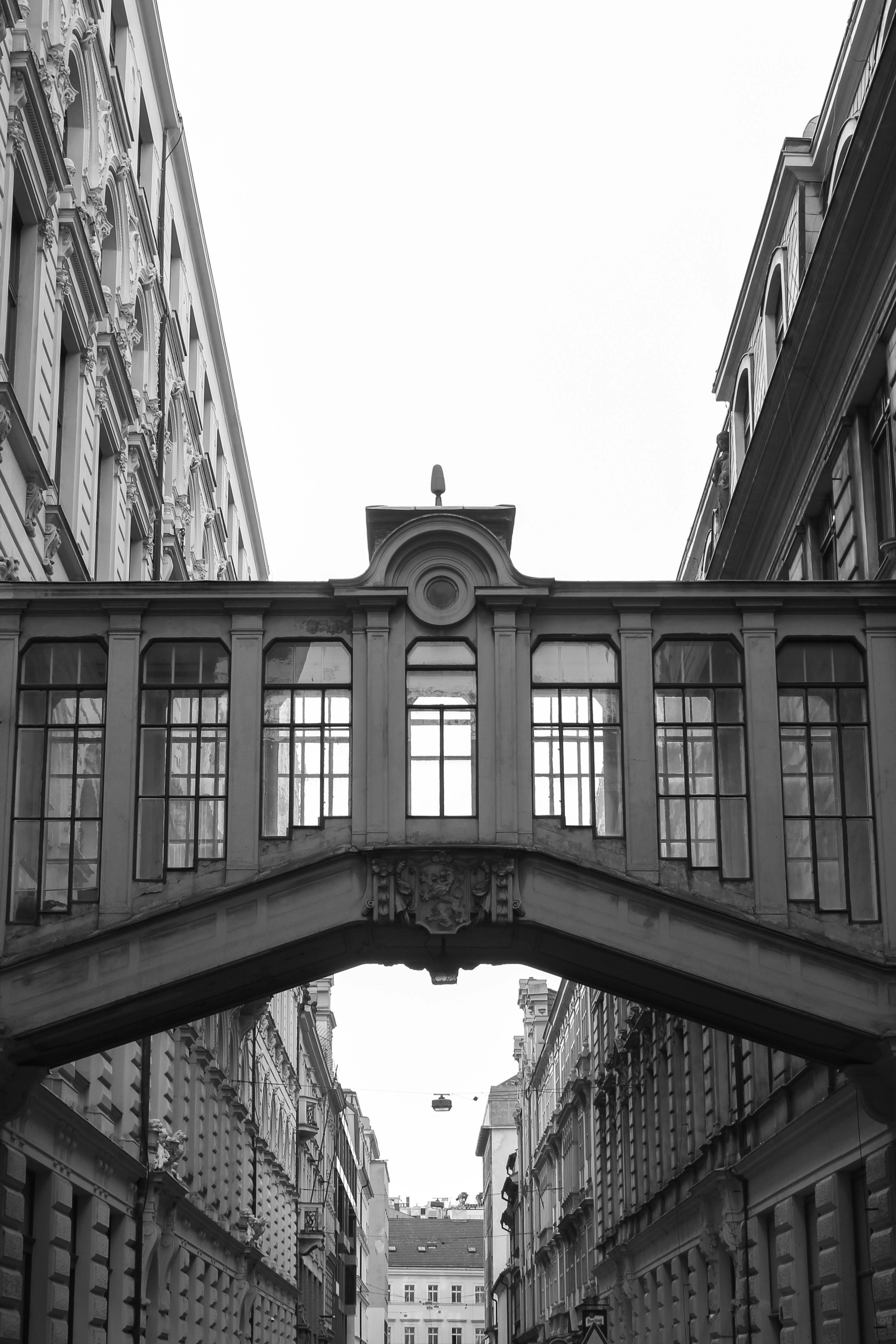 Photo by David Lembas with Canon EOS 600D