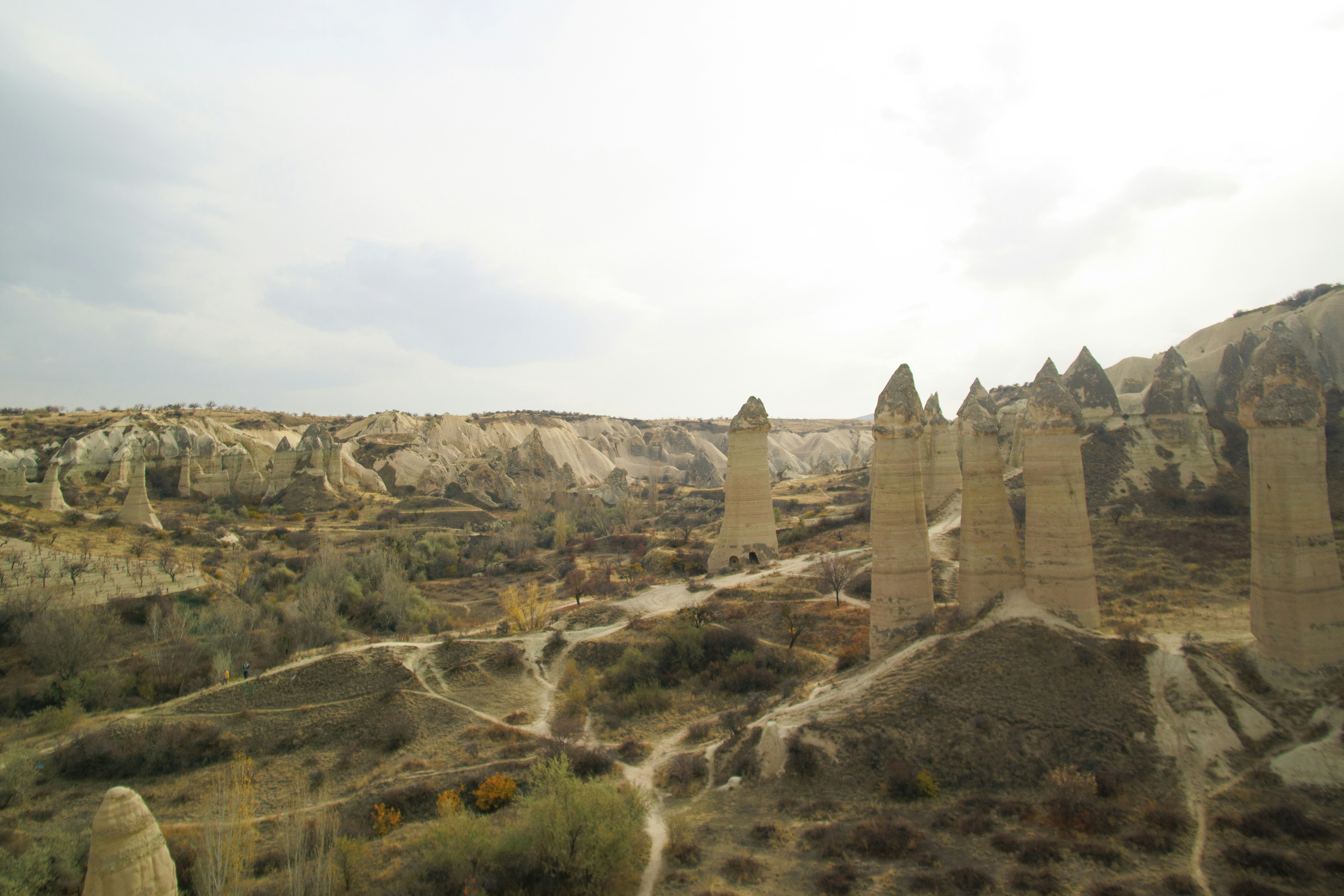Stone Sentinels Rise Over a Desert Canyon