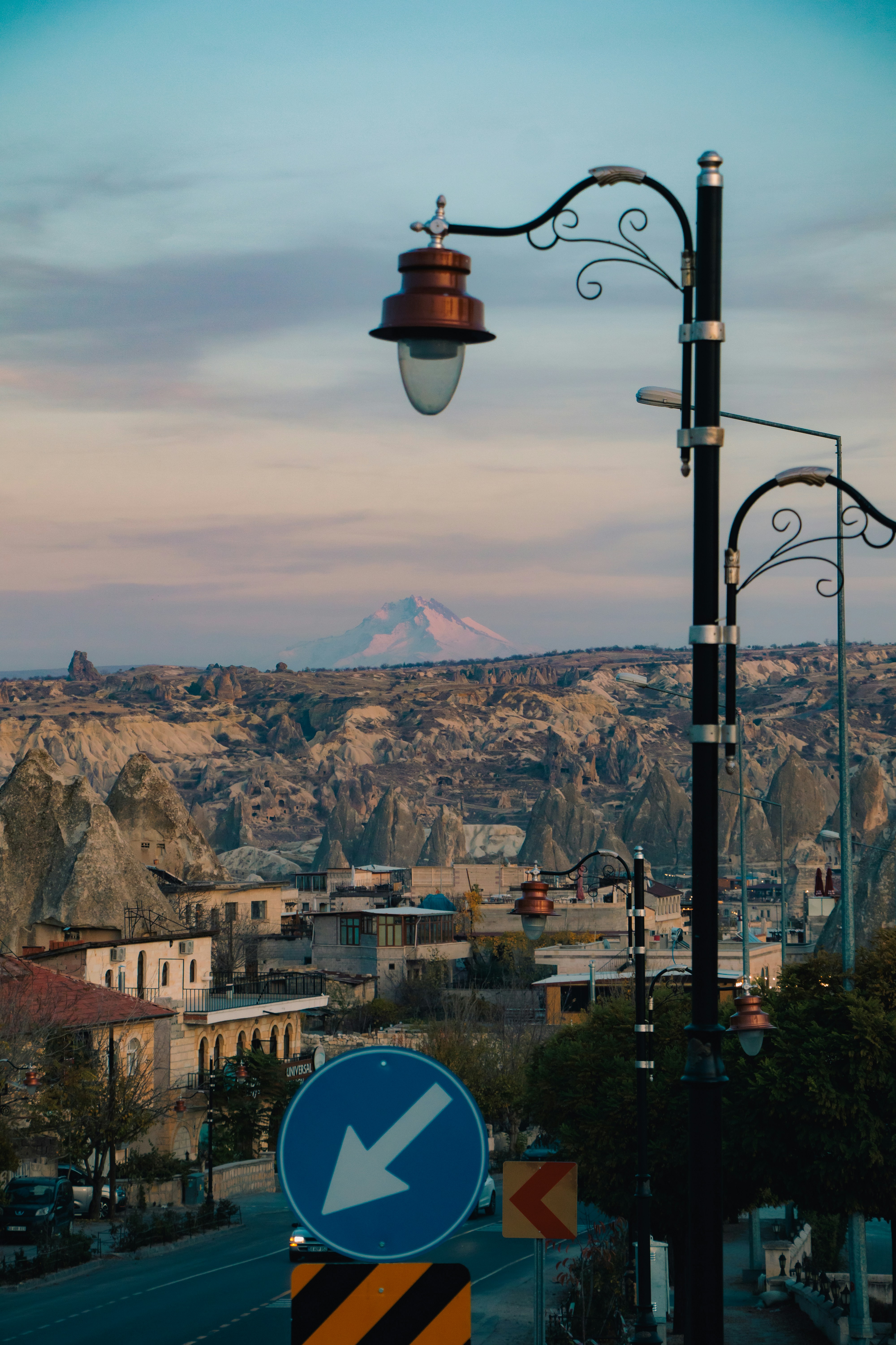 Ornate Lamp Posts Over a Canyon Town, with a Snow-Capped Peak on the Horizon