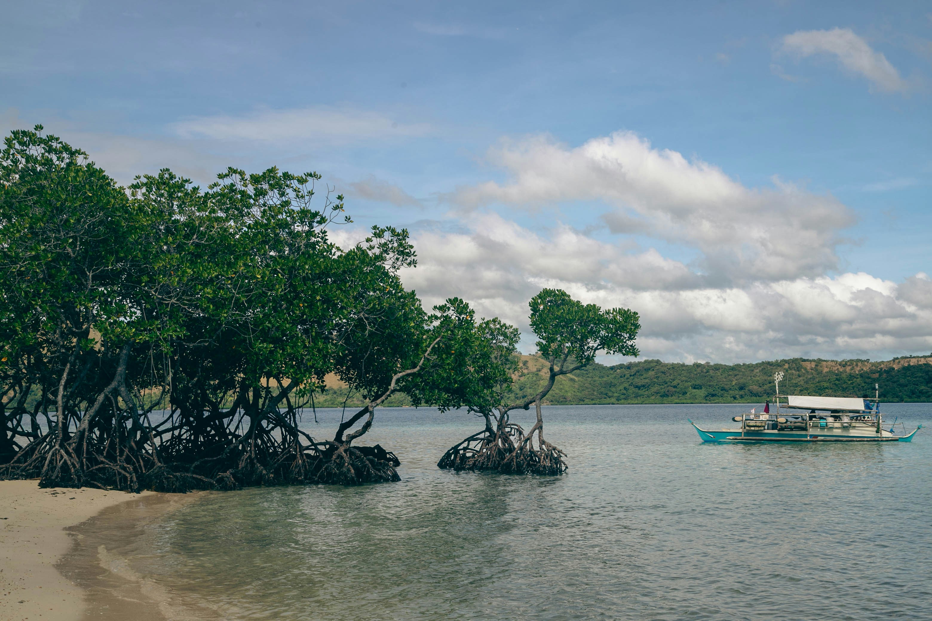 Manglares en una orilla arenosa con un barco. foto – Imagen de Viajar ...