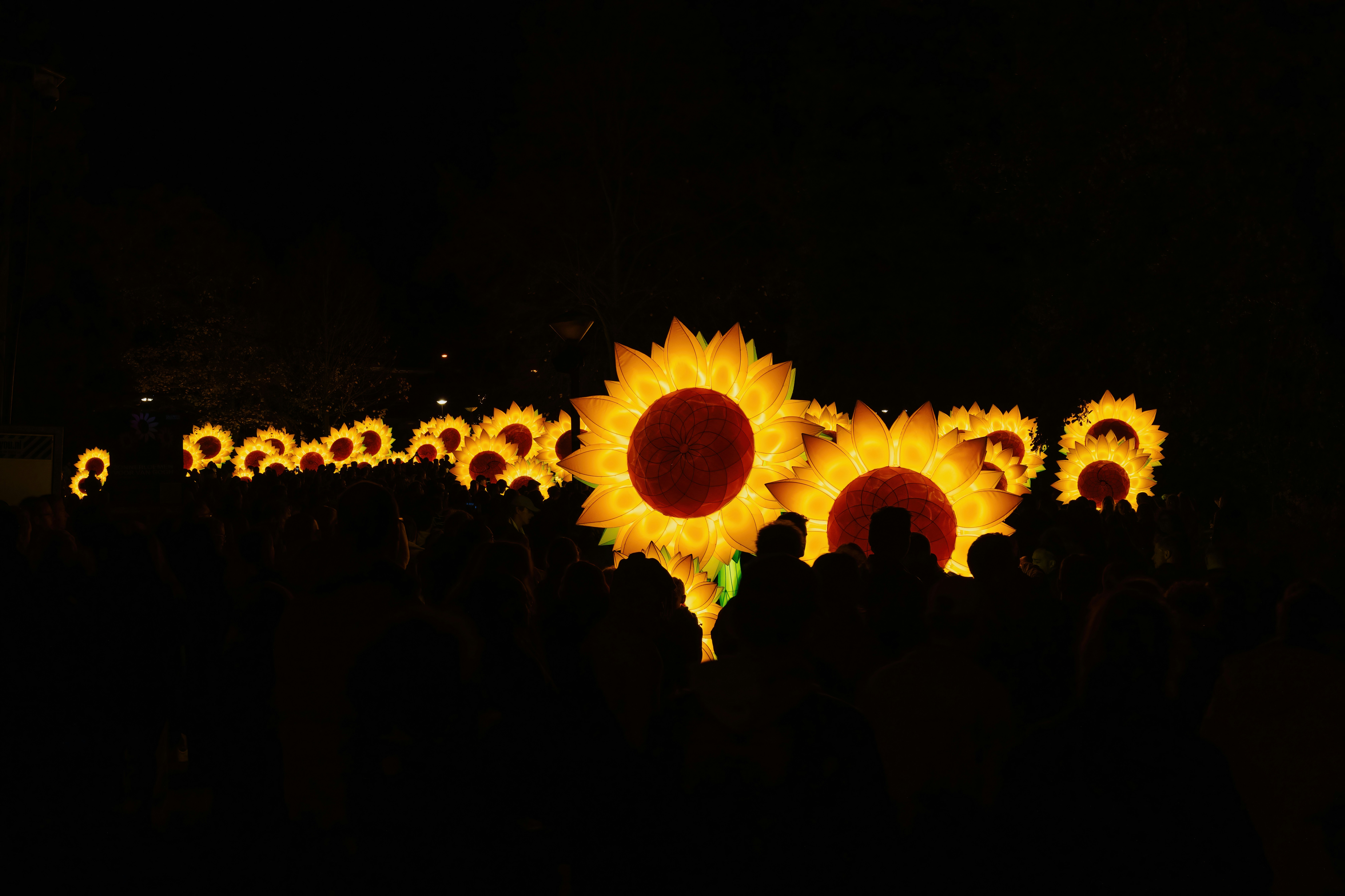 Night Bloom: Lantern Sunflowers Lighting a Crowd