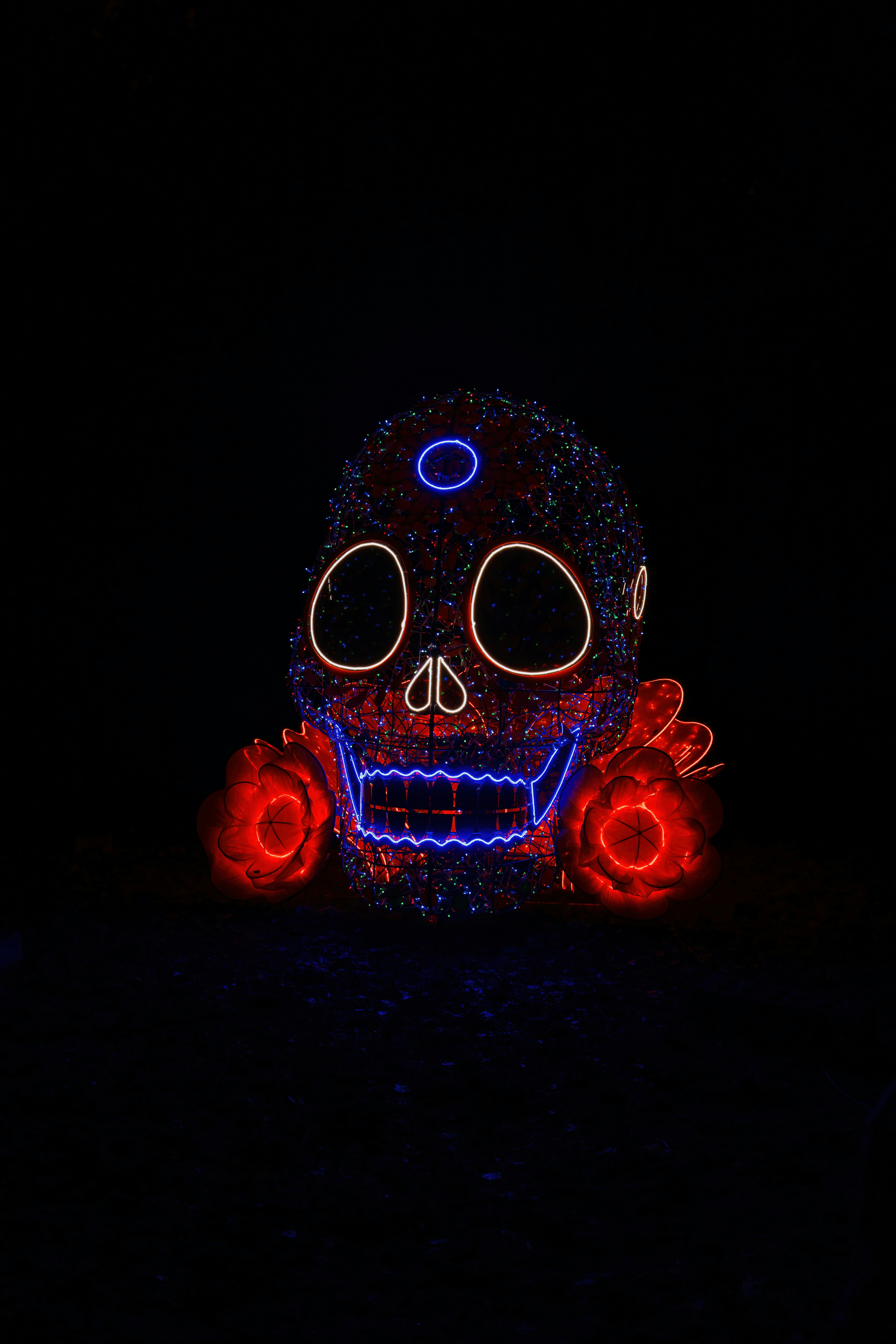 Neon Calavera: A Skull Lantern Glowing Between Red Roses