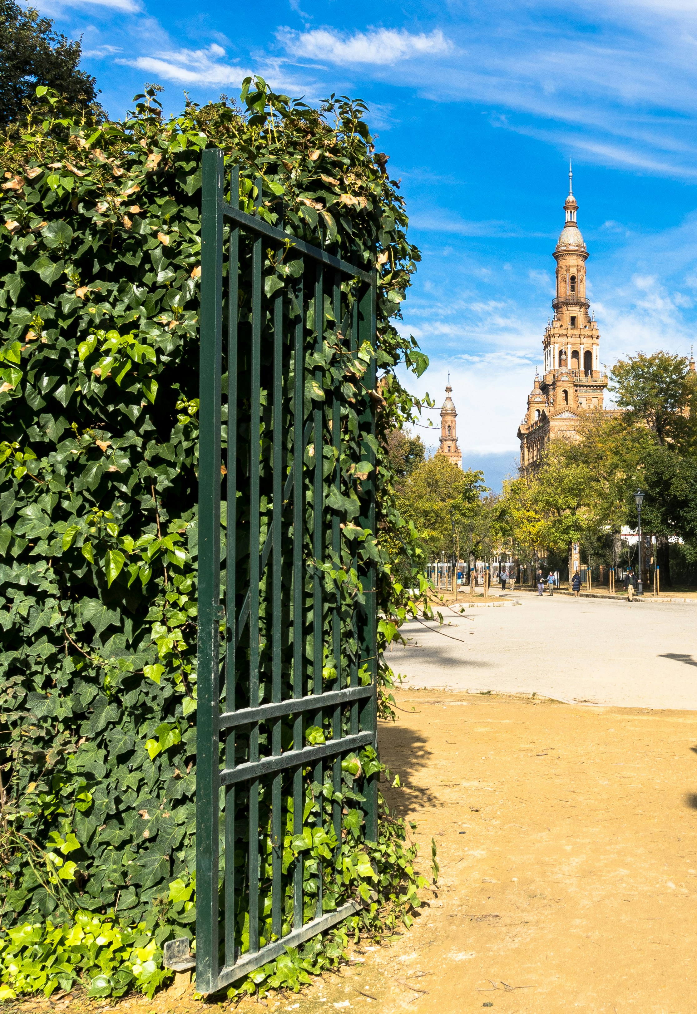 Photo by Hanieh Hosseinlow with SONY ZV-E10