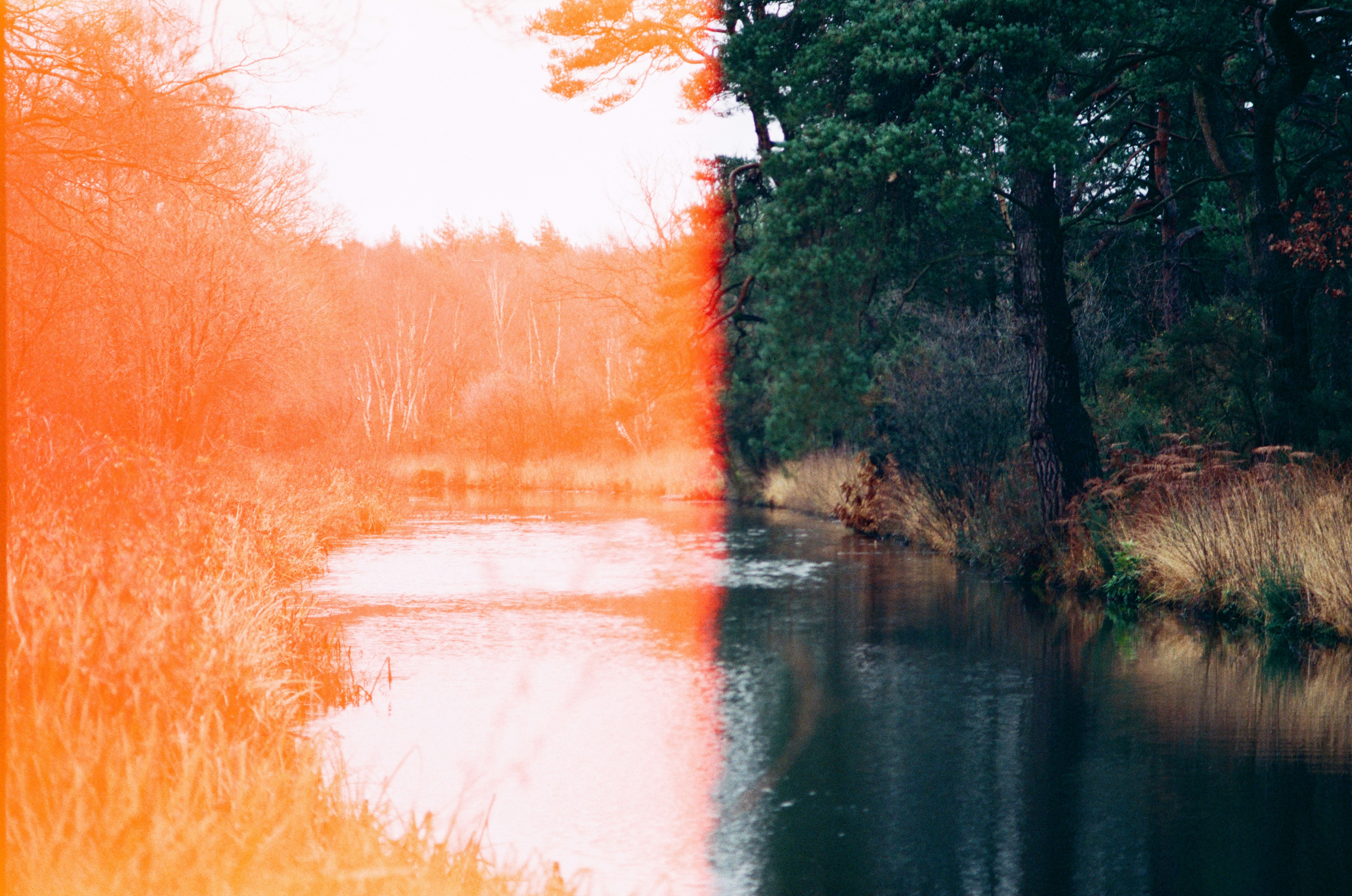 Half-Visible River: Quiet Water and Forest Edge Split by Light