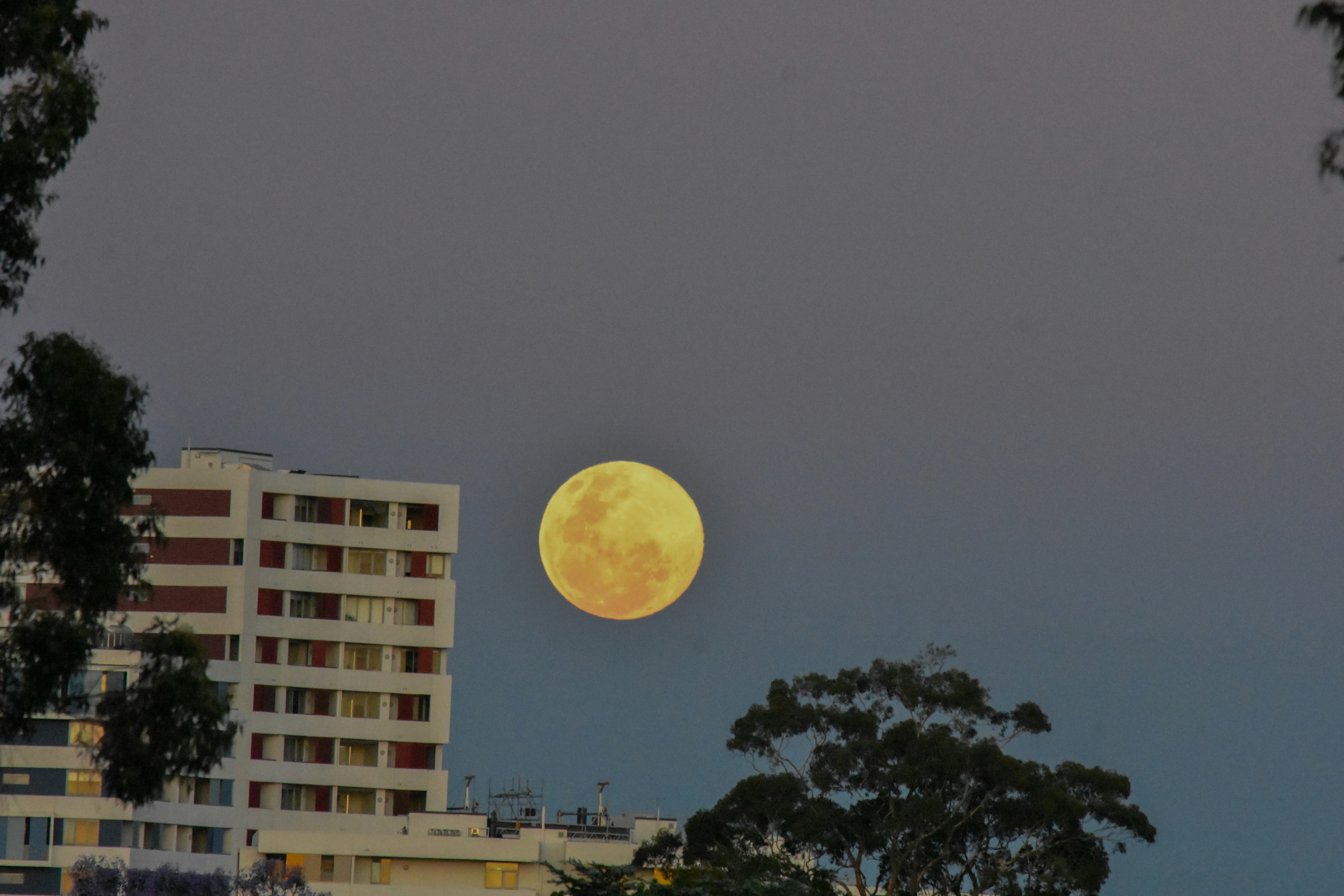 Photo by Rhys Baker with Nikon D3400