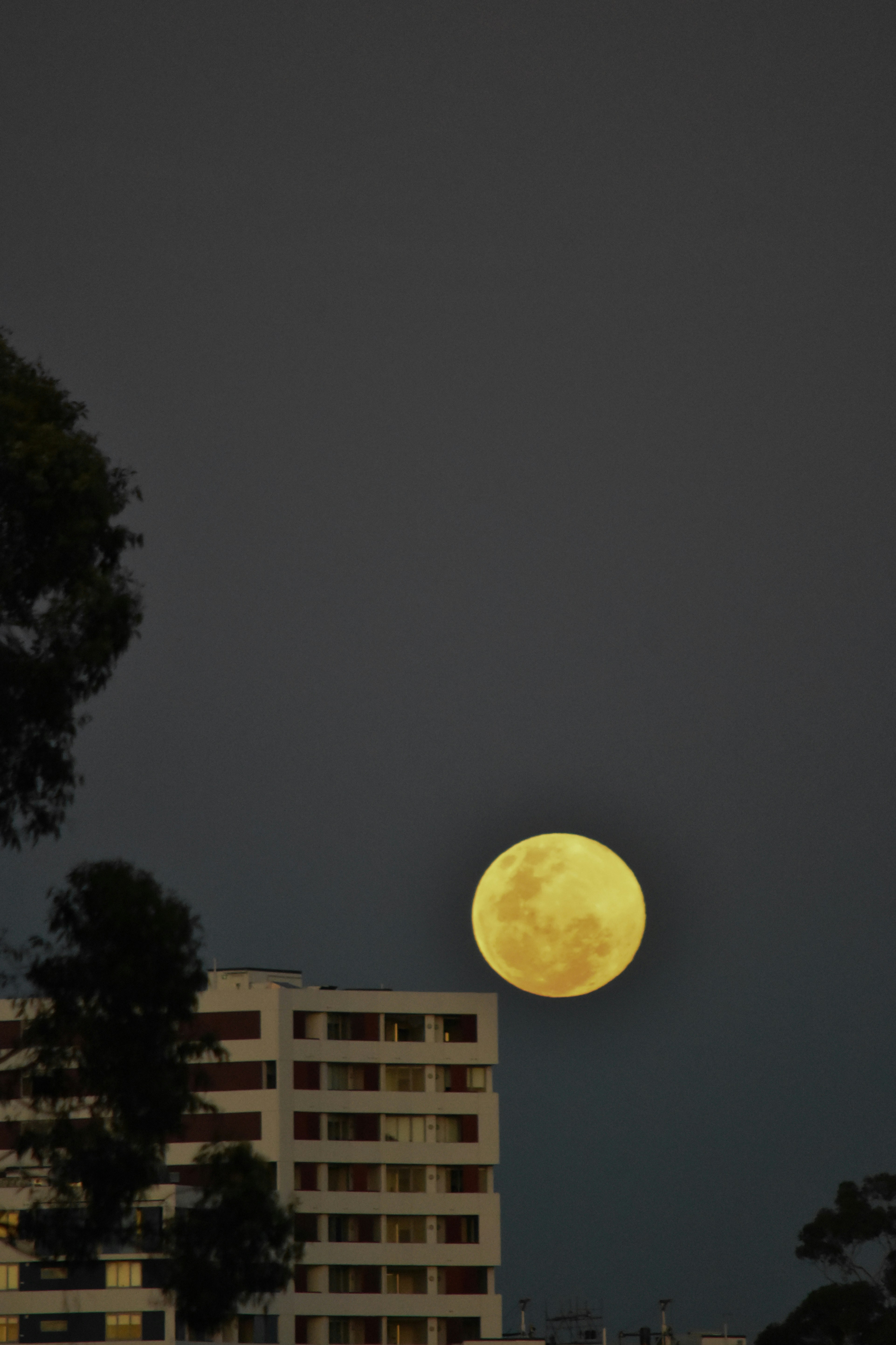 Golden Moon Over a Dusk-Quiet Apartment Block