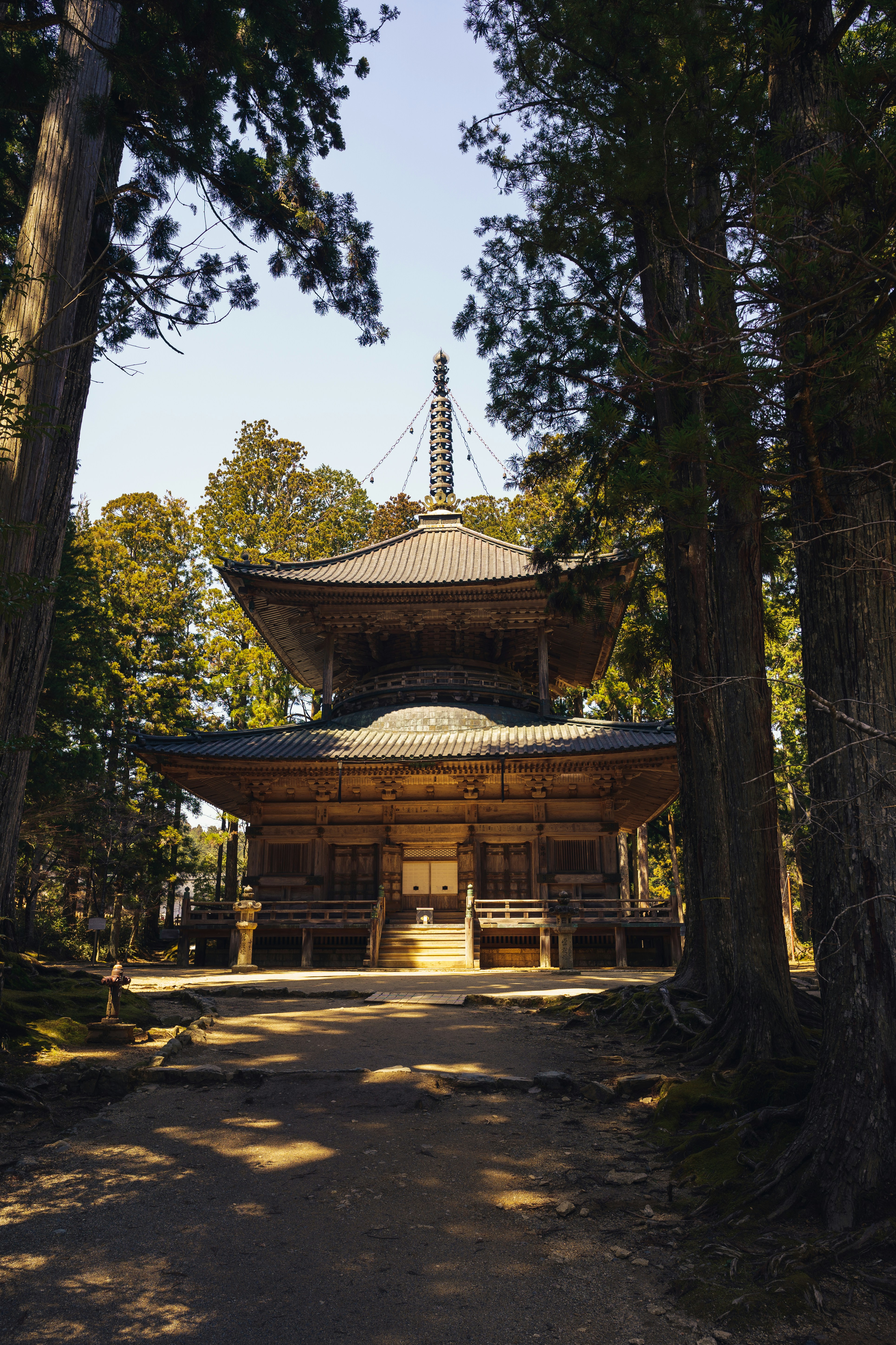 Forest Pagoda: A Timber Shrine Quietly Framed by Pines