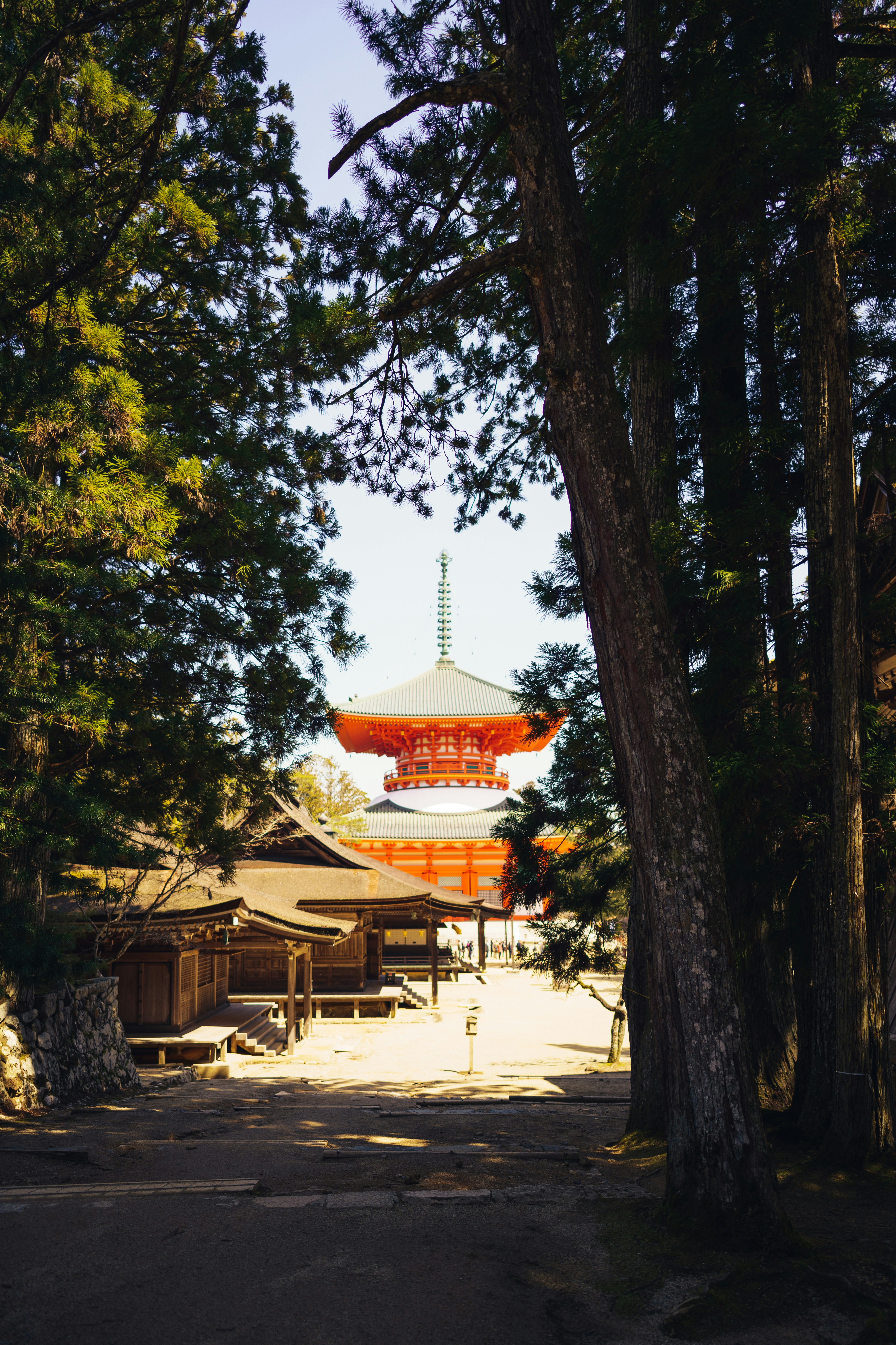 Red Pagoda Rising Through a Cedar-Lined Forest Path